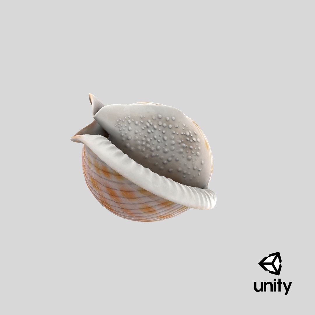 3d scotch bonnet shell