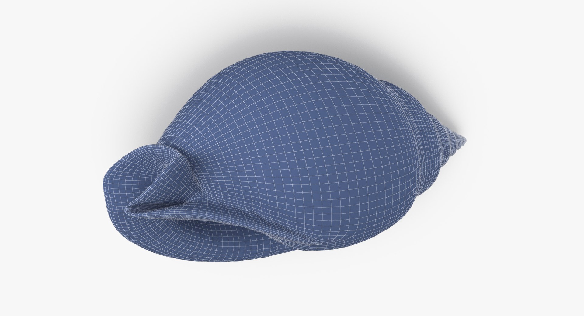 3d scotch bonnet shell