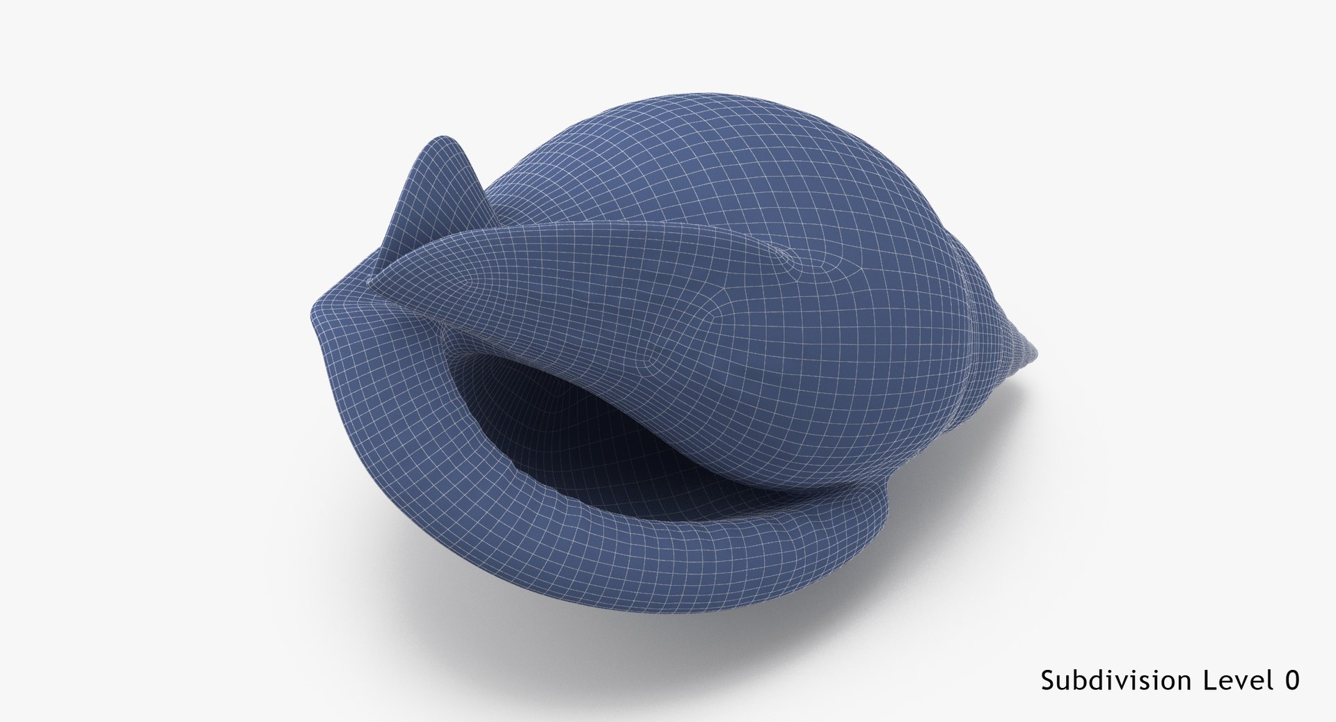 3d scotch bonnet shell