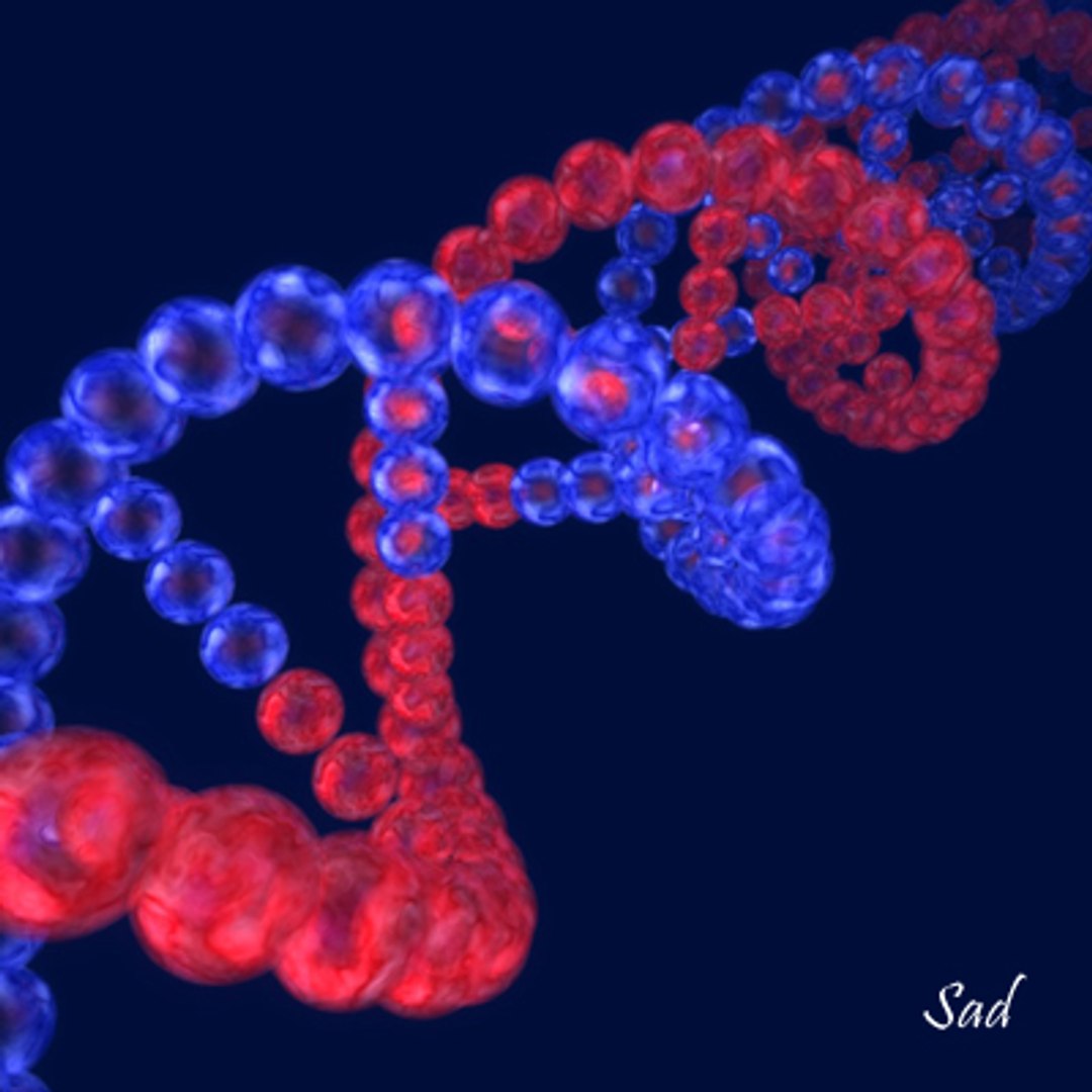 Dna Structure 3d Model