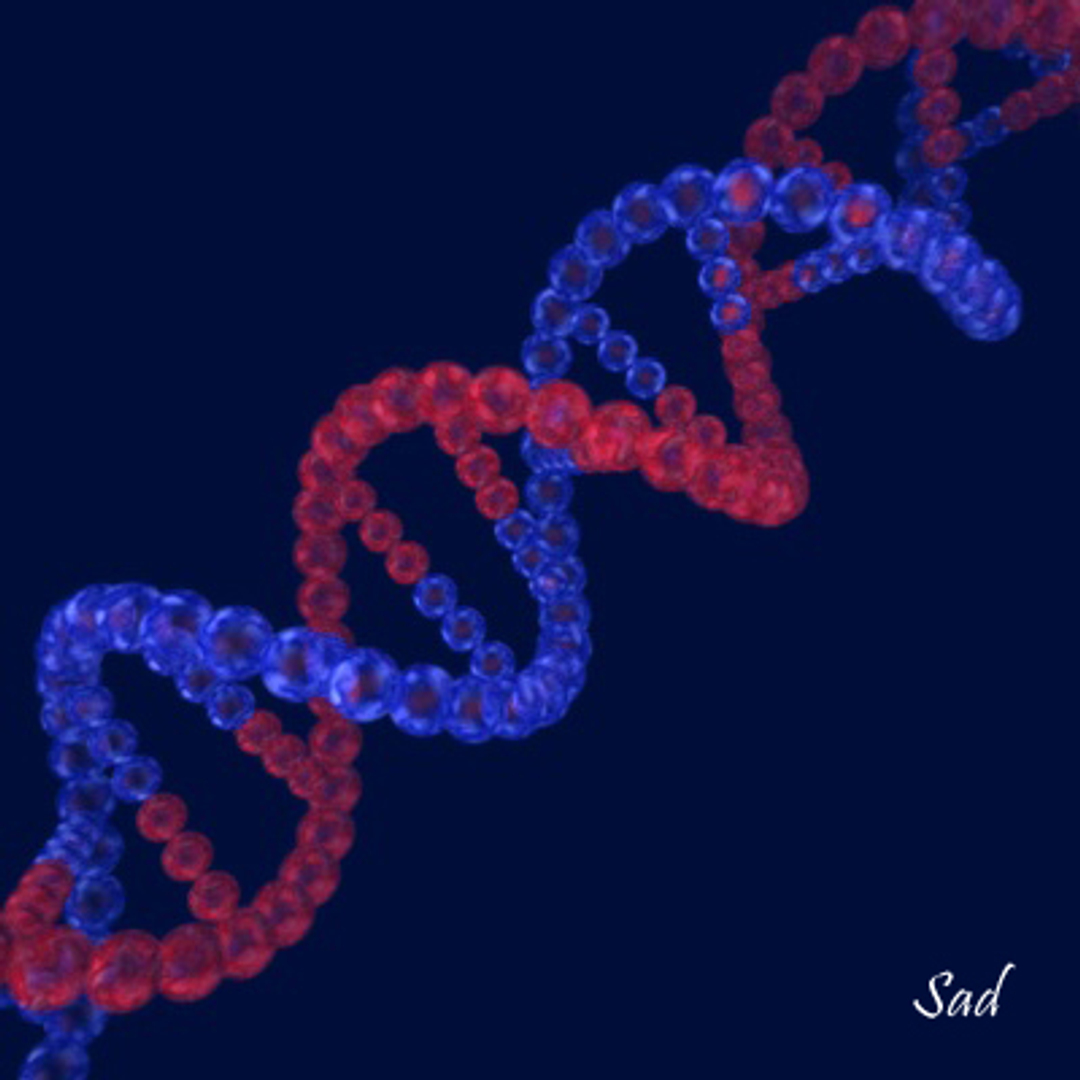 dna structure 3d model