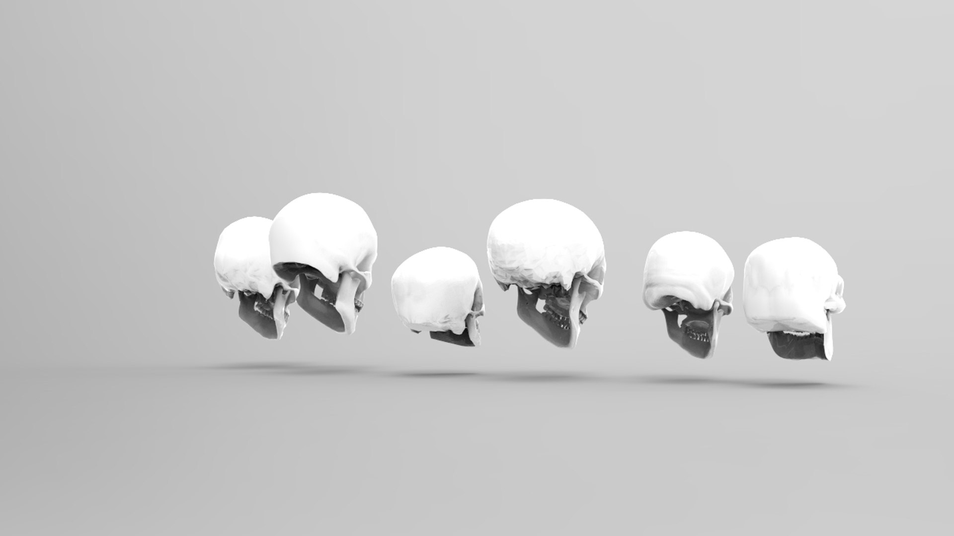 3D skull anatomy model - TurboSquid 1480412