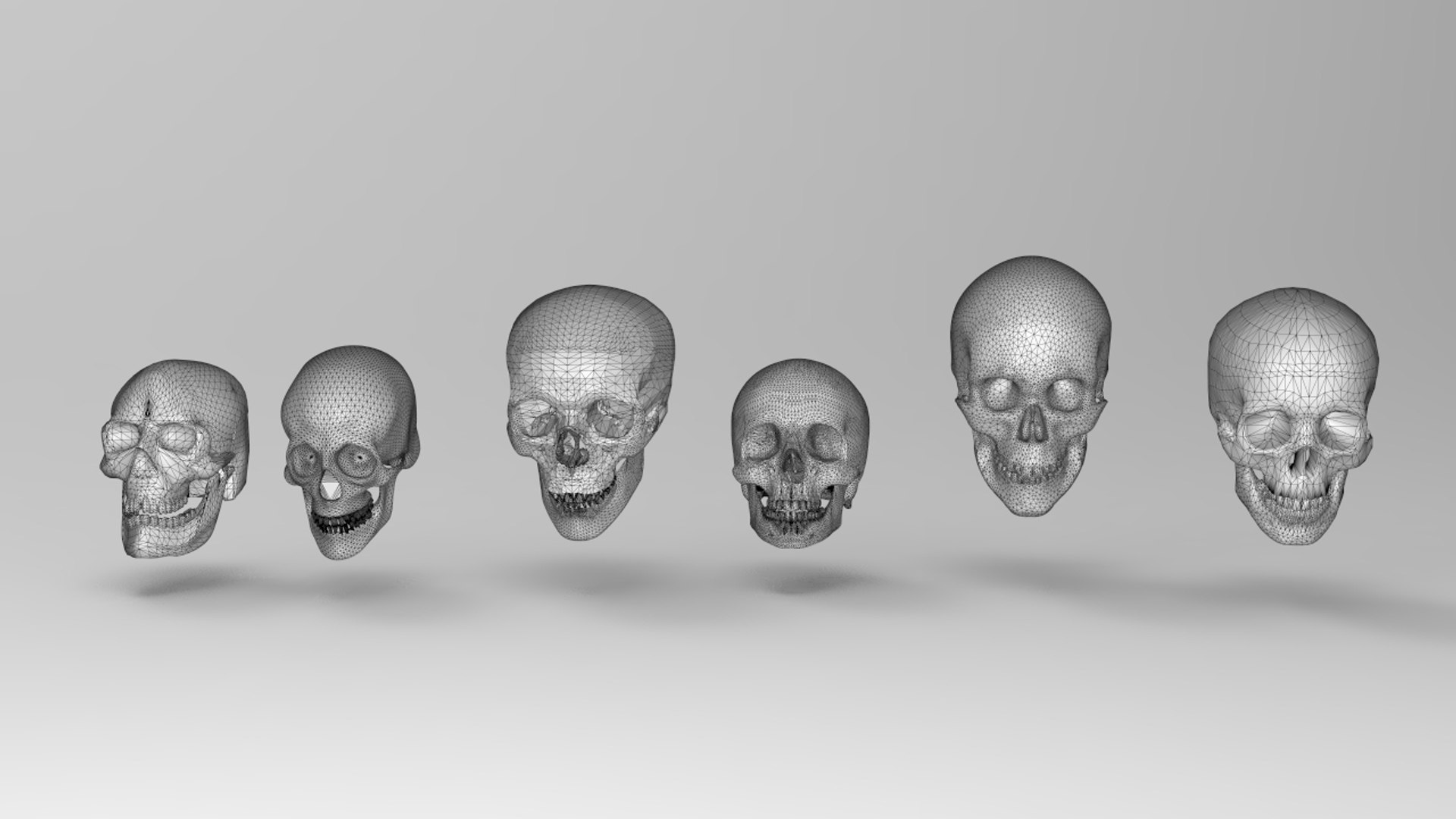 3D skull anatomy model - TurboSquid 1480412