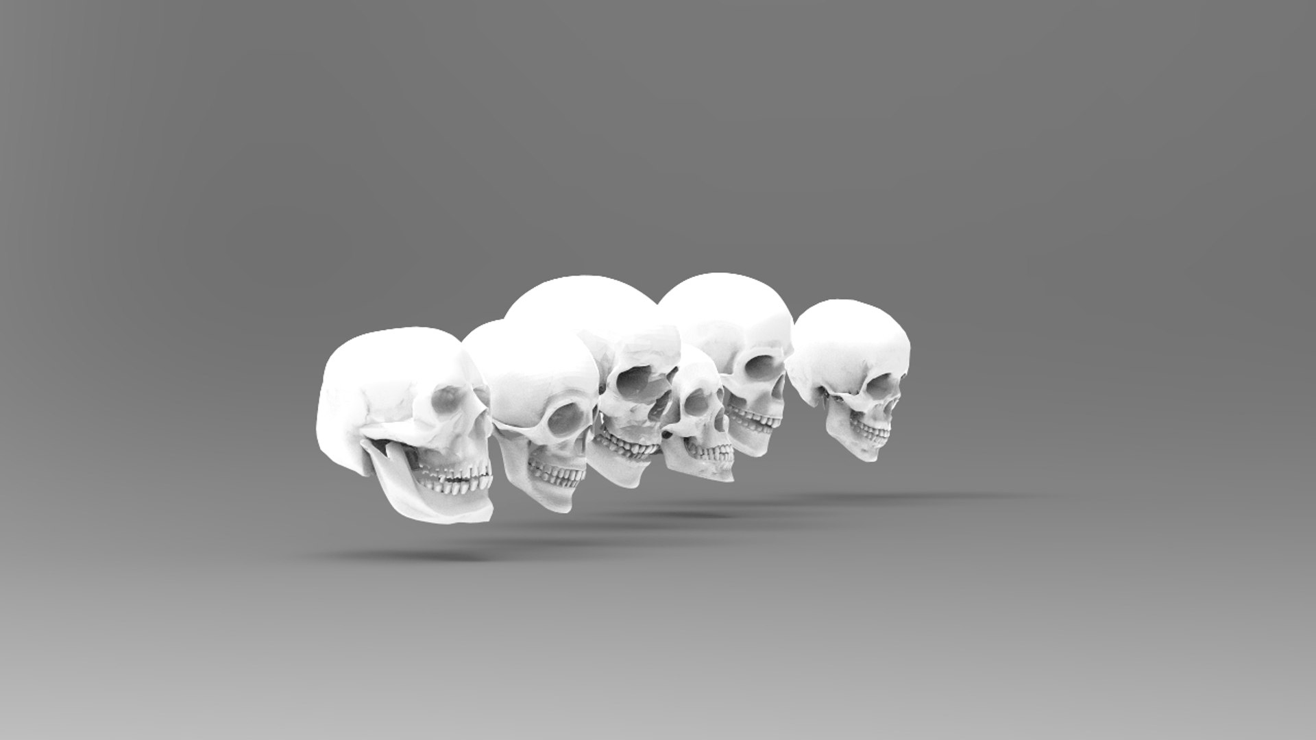 3D skull anatomy model - TurboSquid 1480412