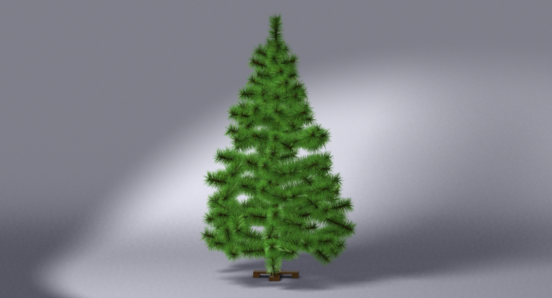 pine max