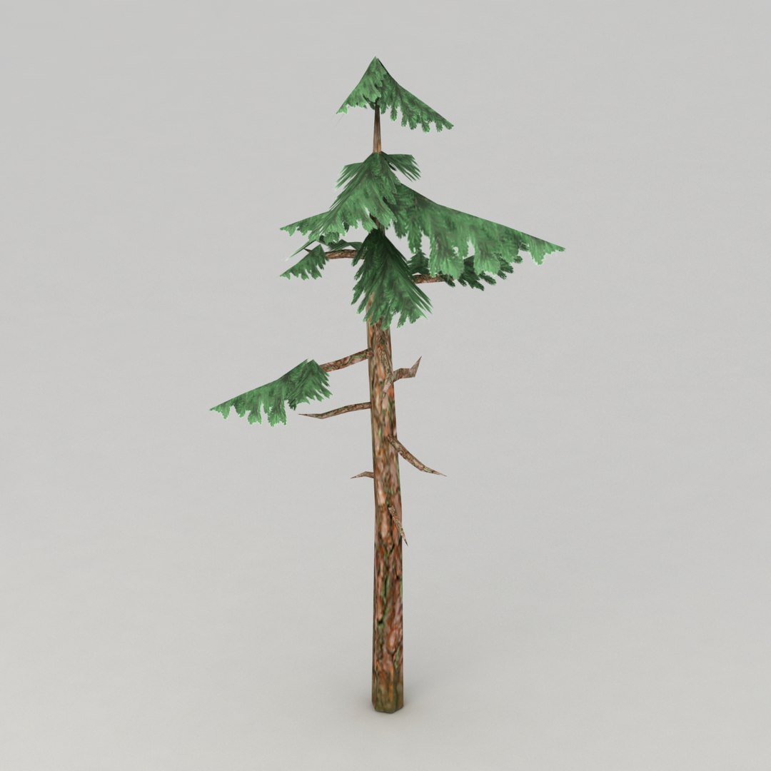 Pine Max