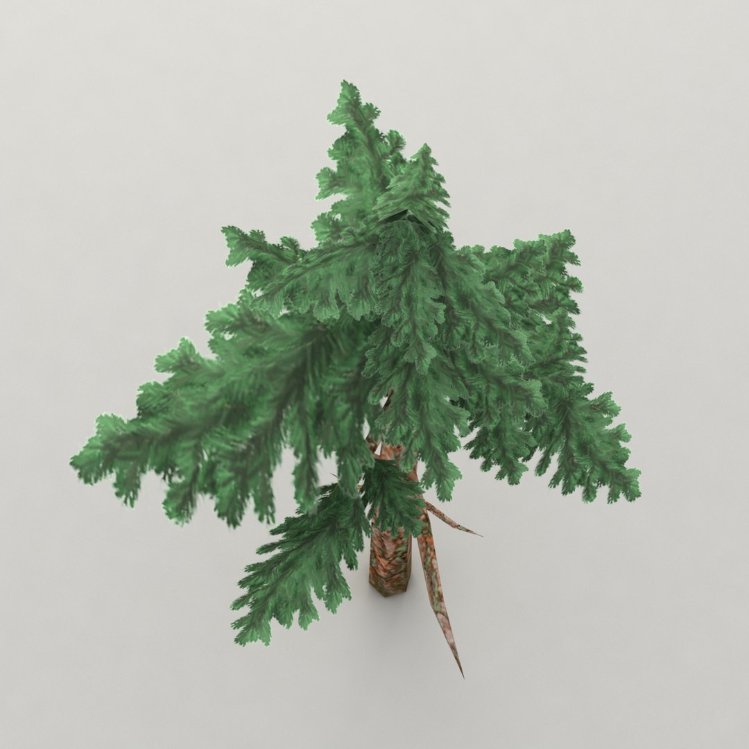 Pine Max