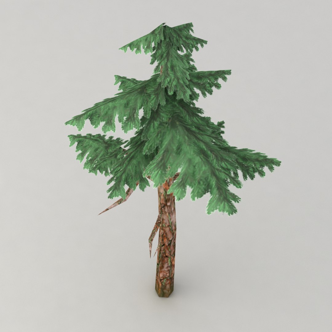 Pine Max