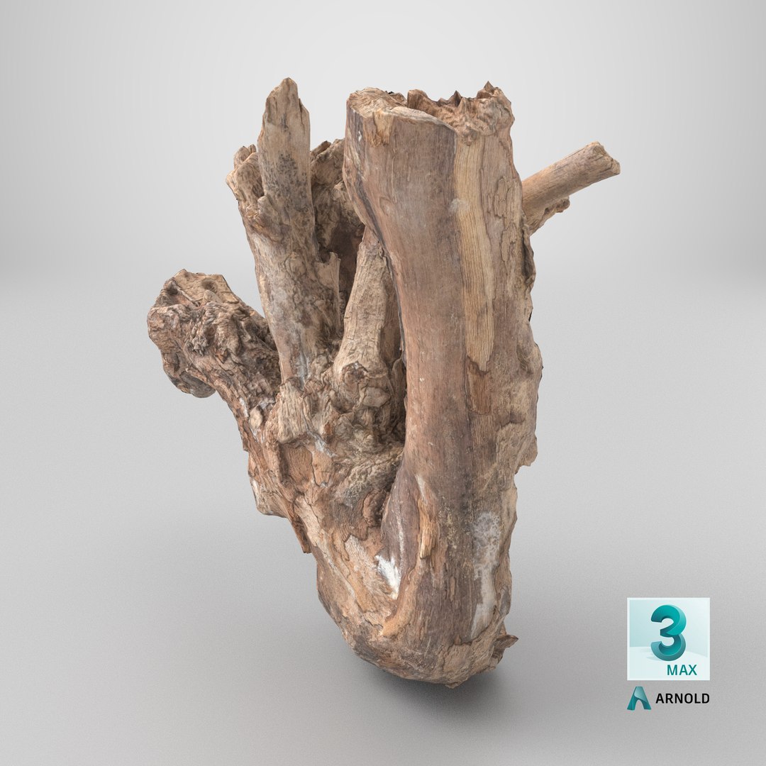 3D Grapevine Bark 3D Scanned 11 StemCell - TurboSquid 2282662