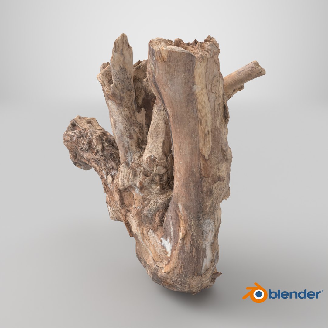 3D Grapevine Bark 3D Scanned 11 StemCell - TurboSquid 2282662