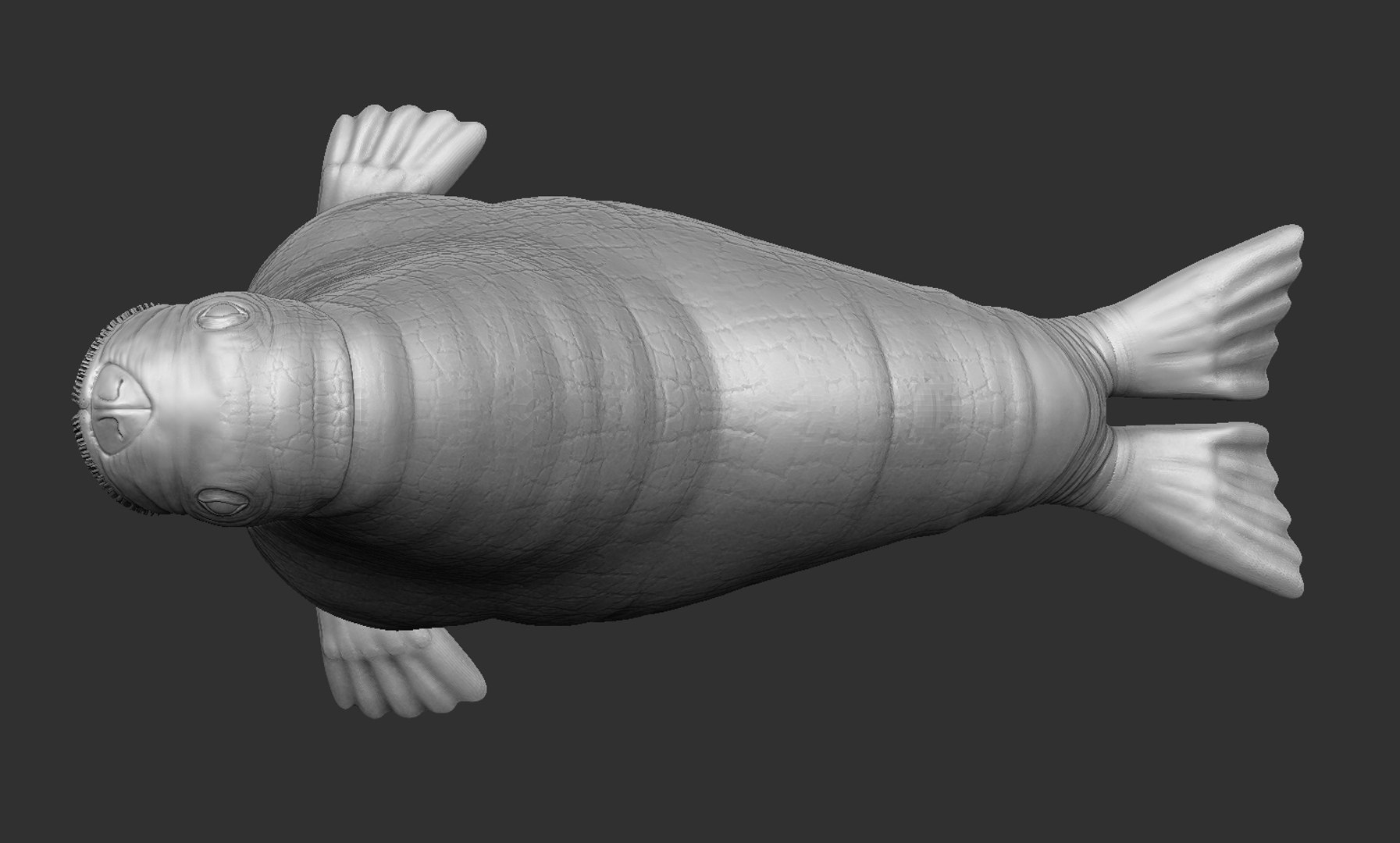 3D model walrus - TurboSquid 1360152
