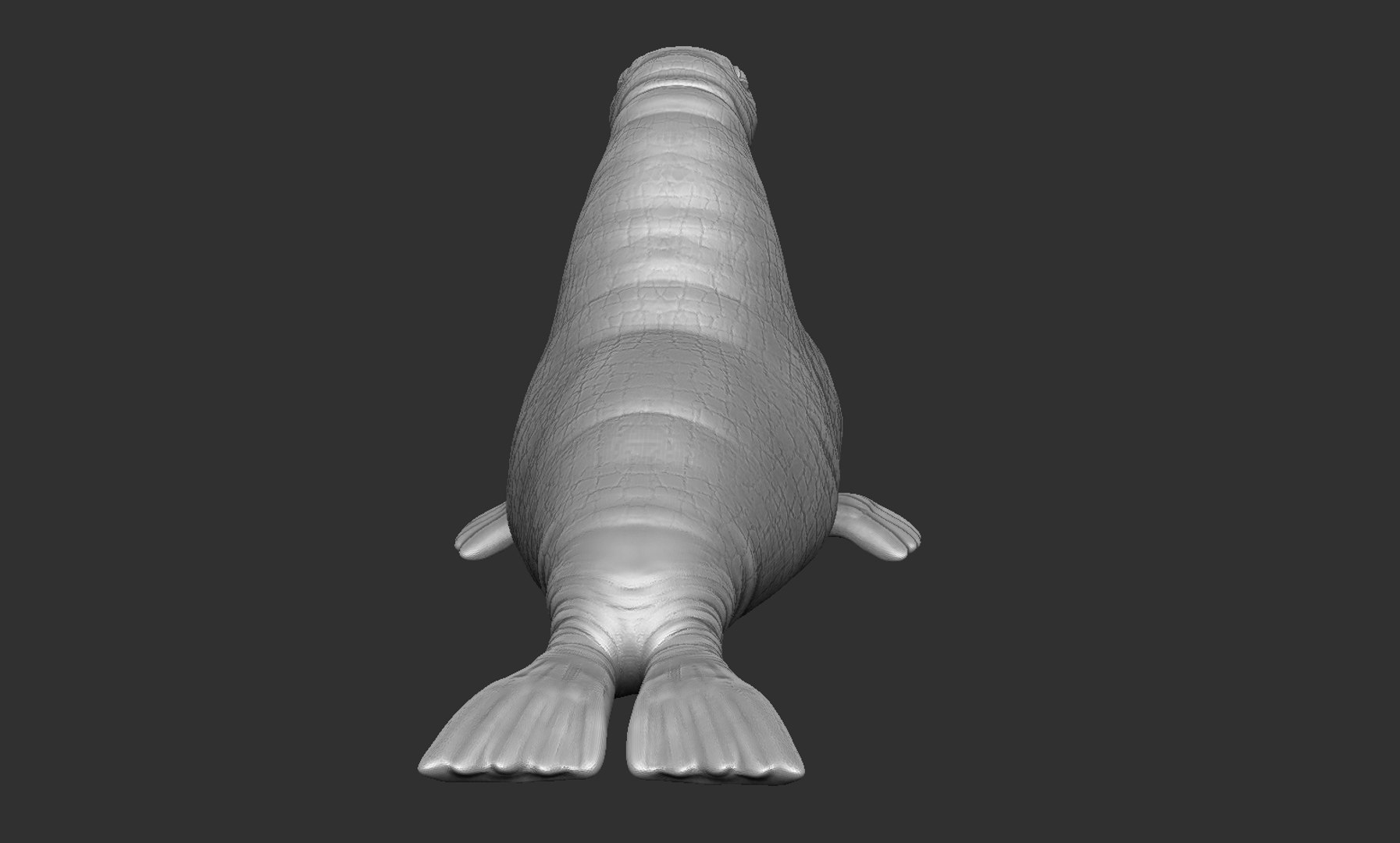 3D model walrus - TurboSquid 1360152