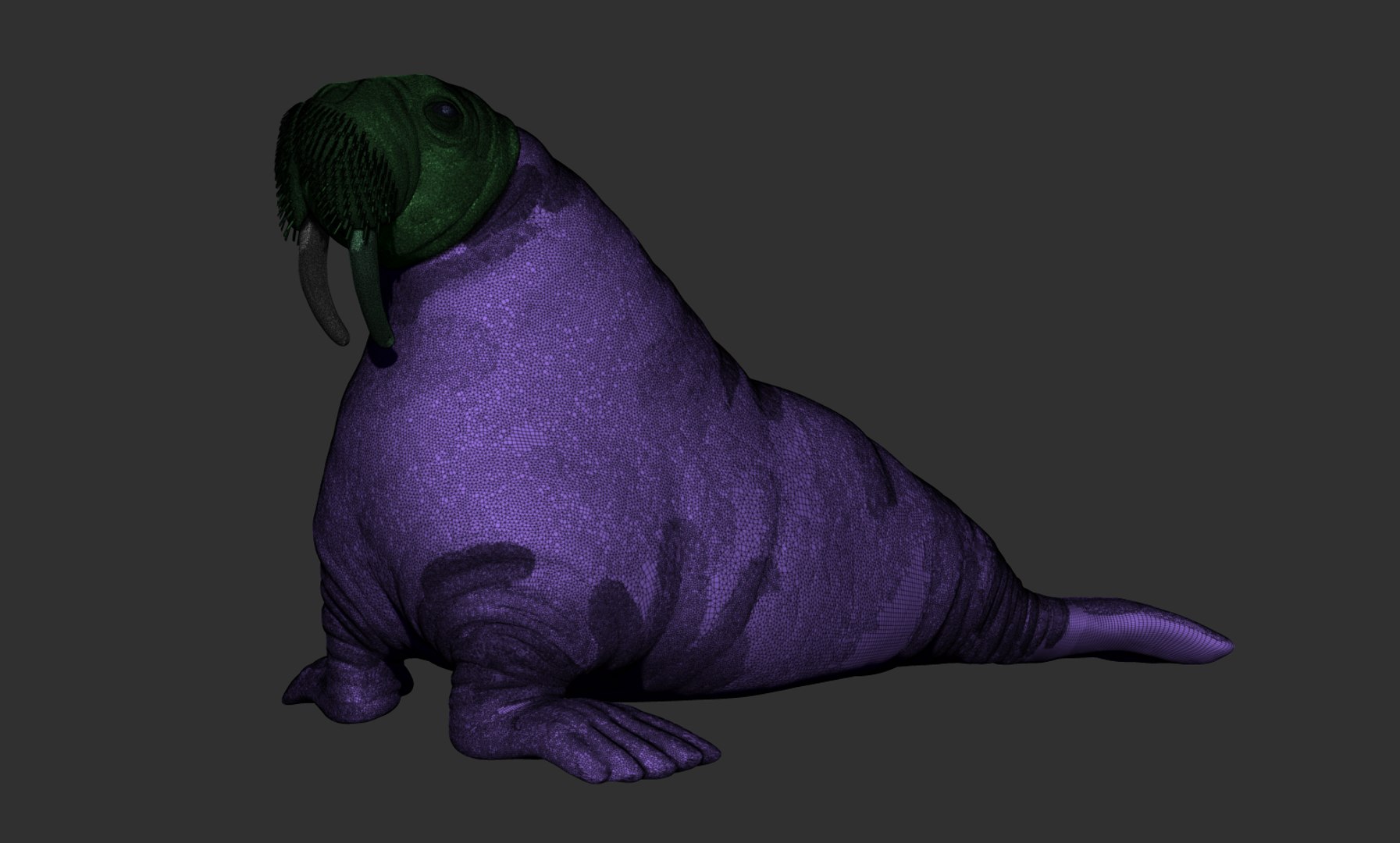 3D model walrus - TurboSquid 1360152