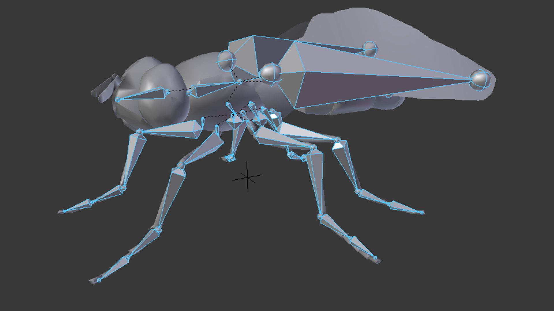 Fly Rigged 3D Model - TurboSquid 1587338