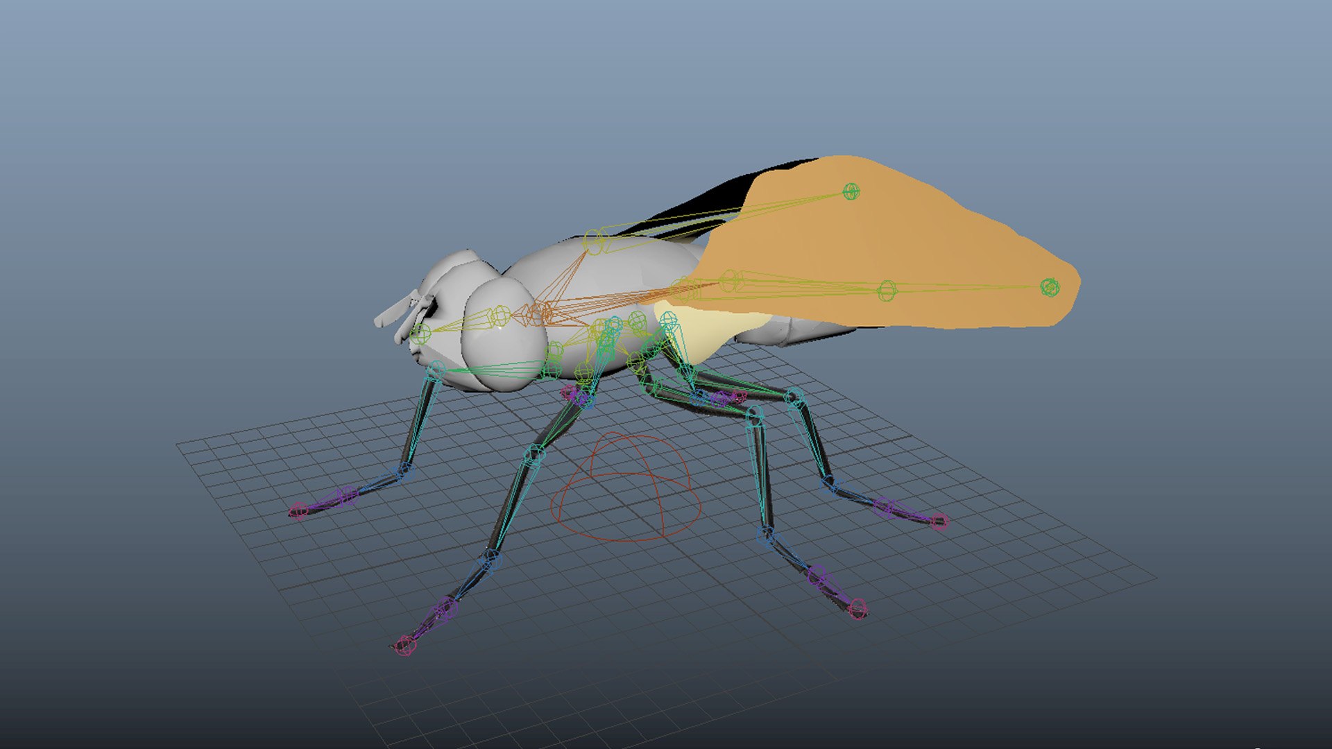 Fly Rigged 3D Model - TurboSquid 1587338