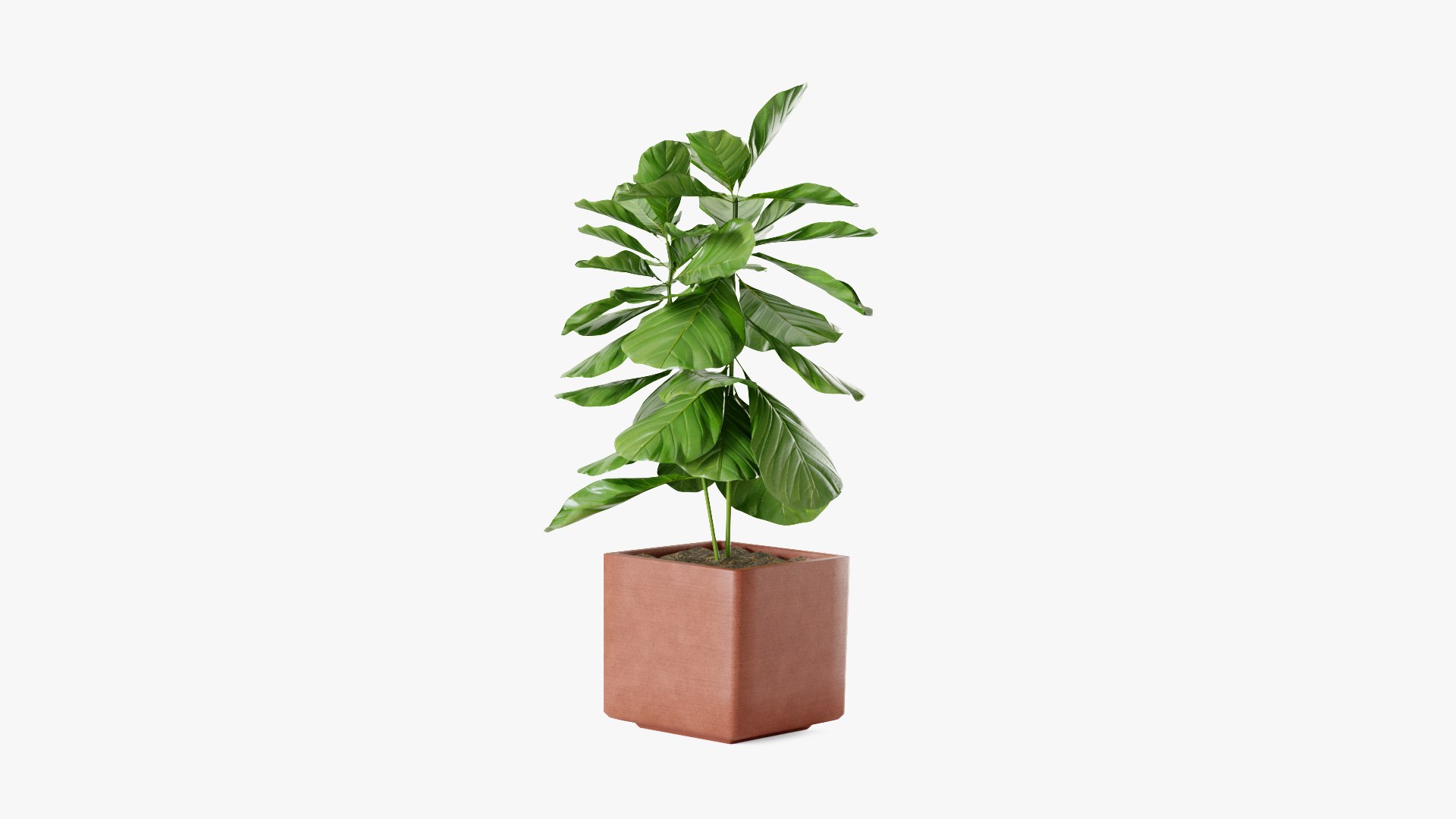 3D plant design modeled - TurboSquid 1523478