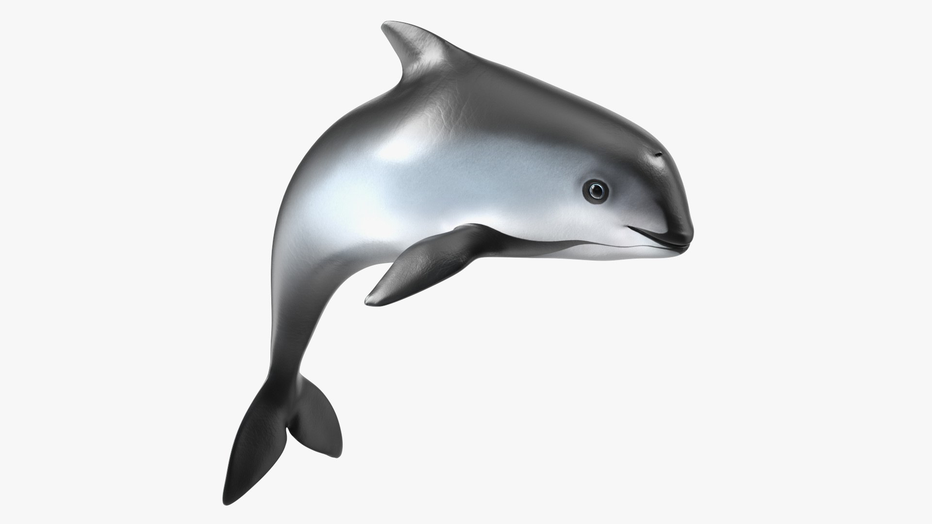 modelo 3d Postura inactiva del seno de Phocoena - TurboSquid 2157040