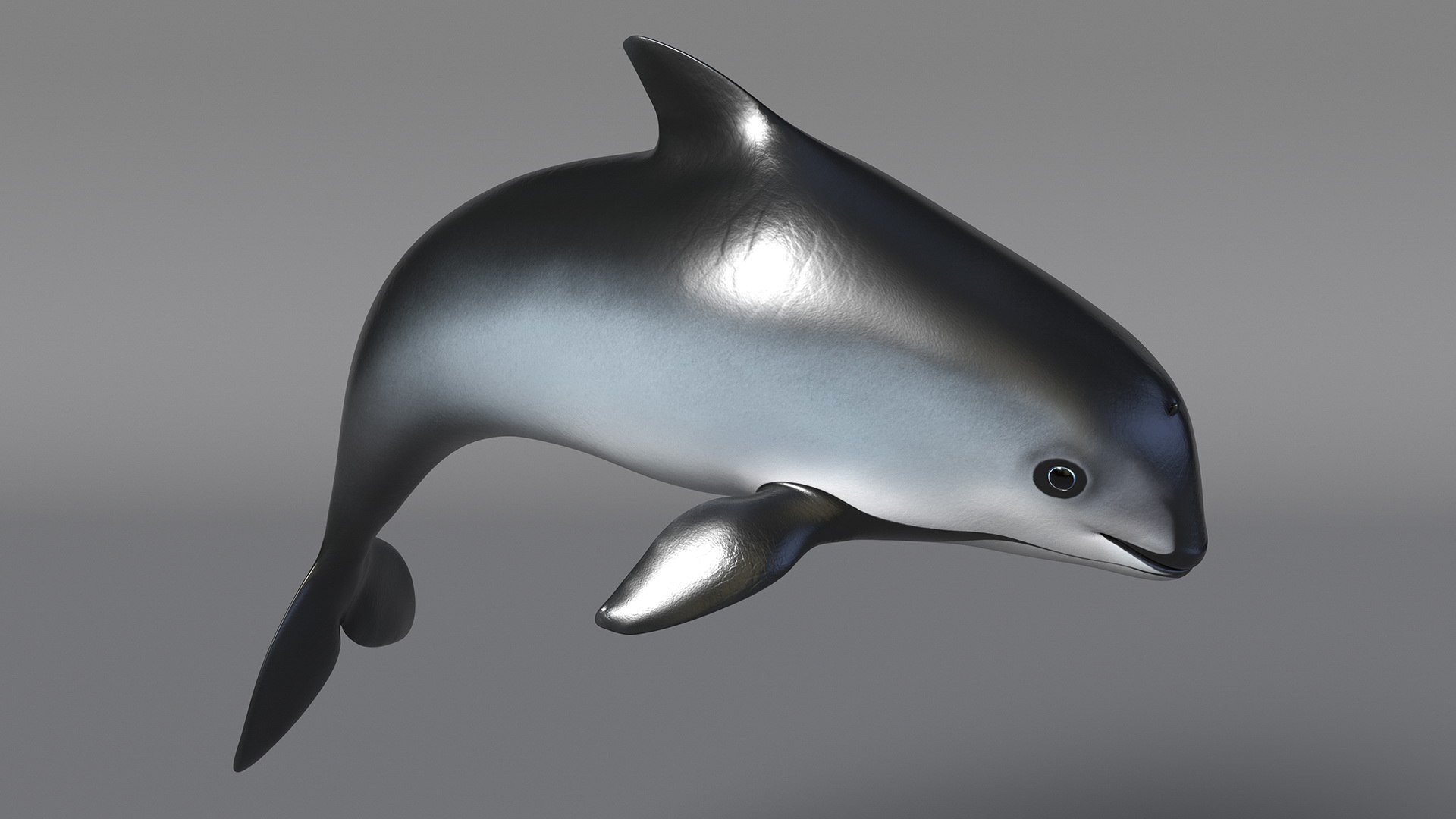 Phocoena Sinus Idle Pose 3D Model - TurboSquid 2157040