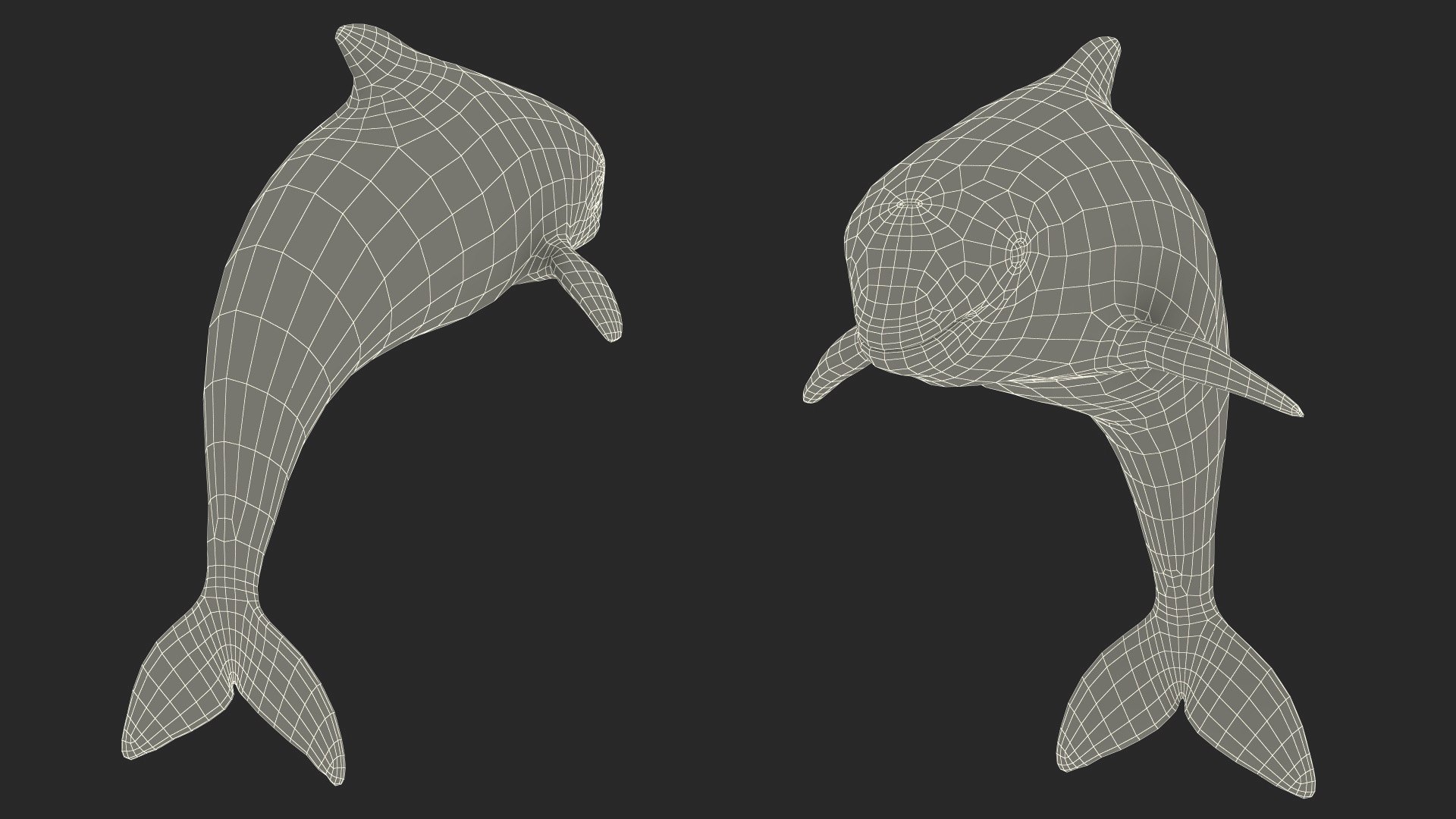 Phocoena Sinus Idle Pose 3D Model - TurboSquid 2157040