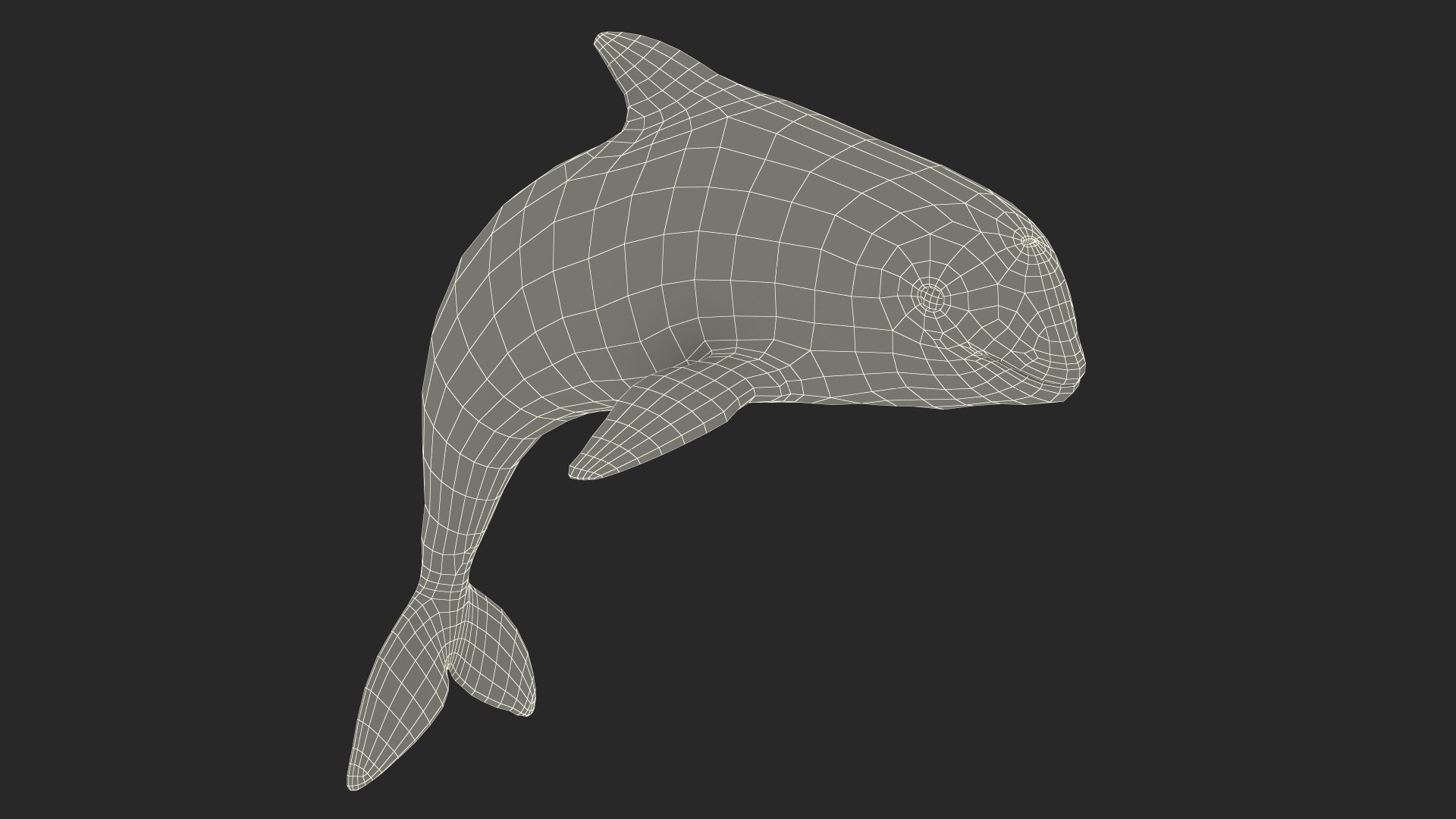 Phocoena Sinus Idle Pose 3D Model - TurboSquid 2157040