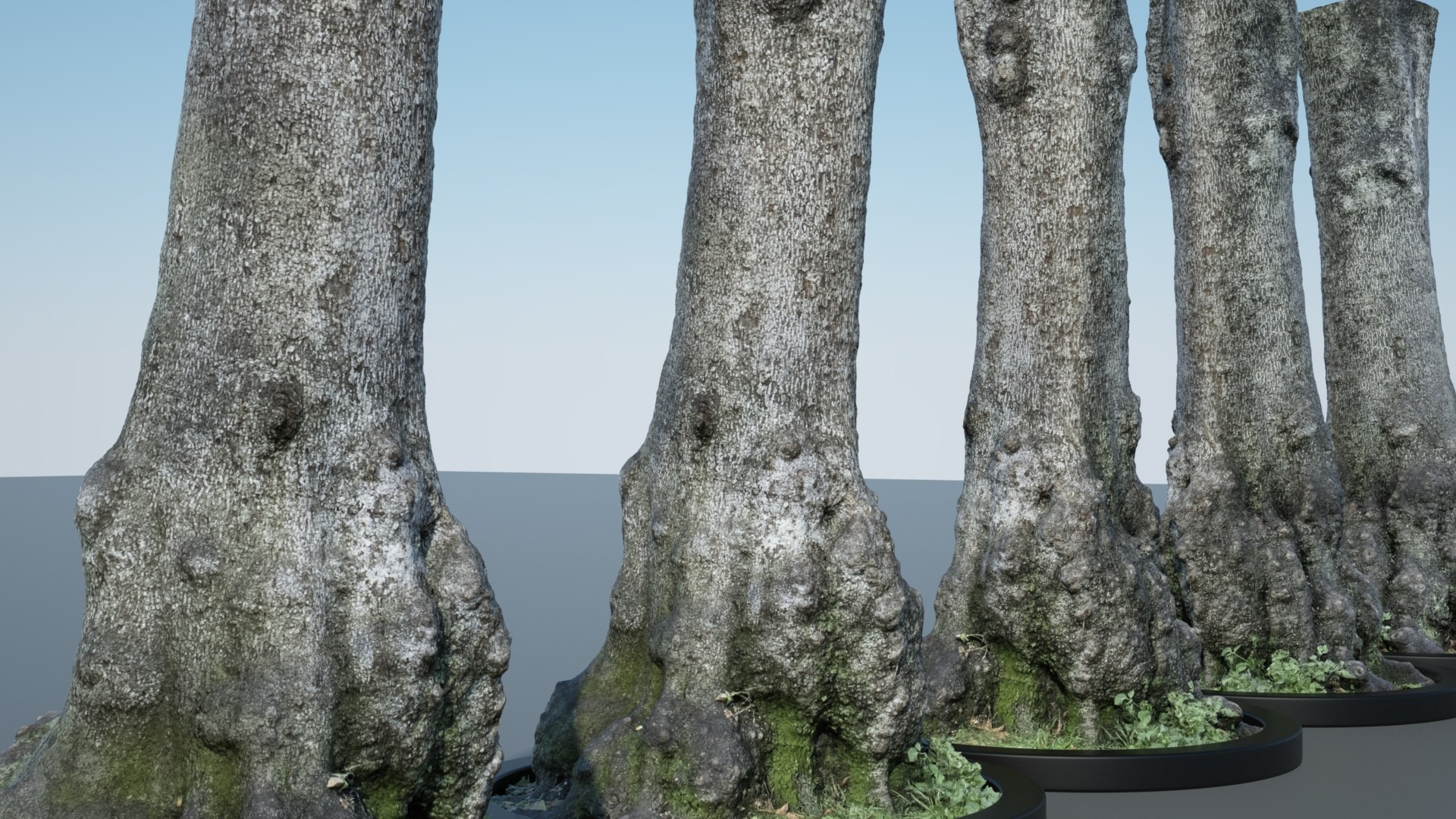Tree Trunk - 3D Model - TurboSquid 1459589