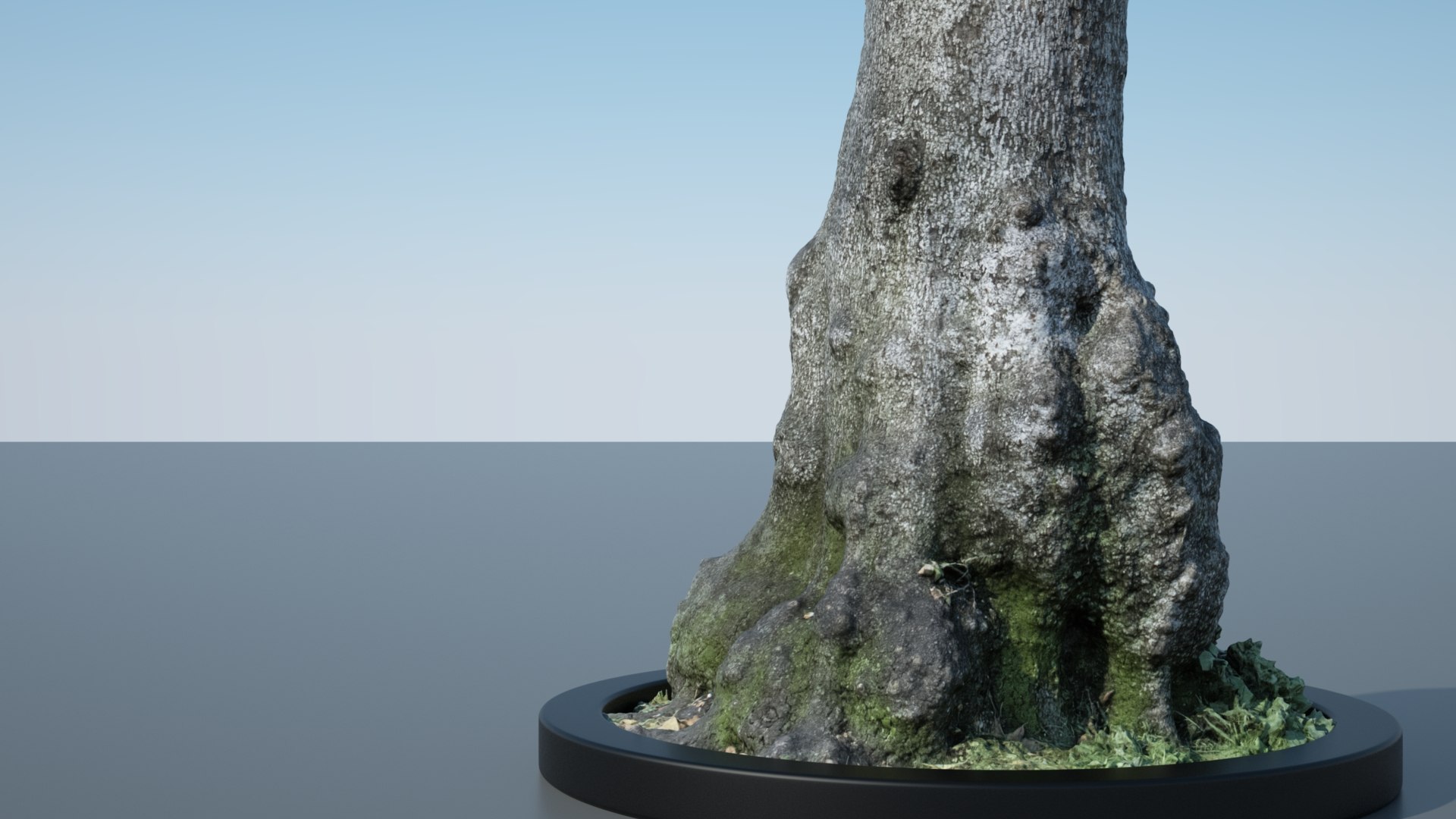 Tree Trunk - 3D Model - TurboSquid 1459589