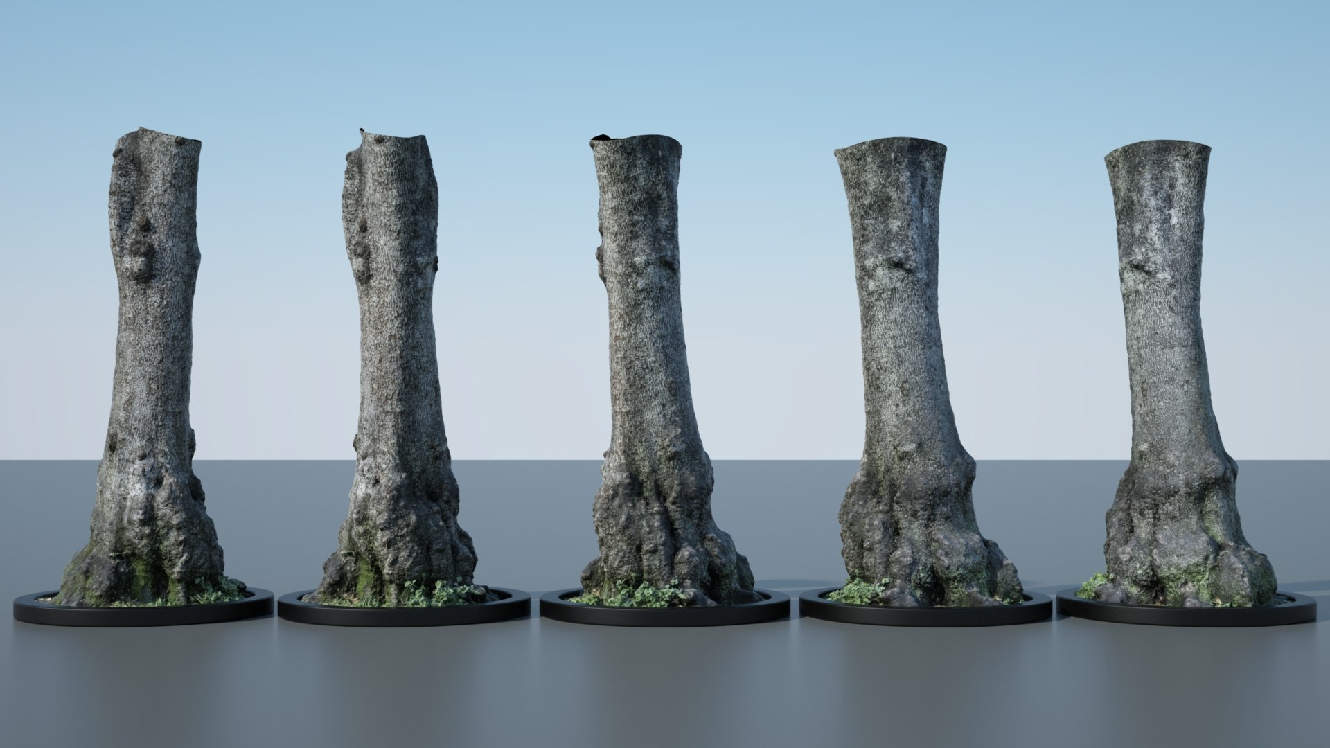 Tree Trunk - 3D Model - TurboSquid 1459589