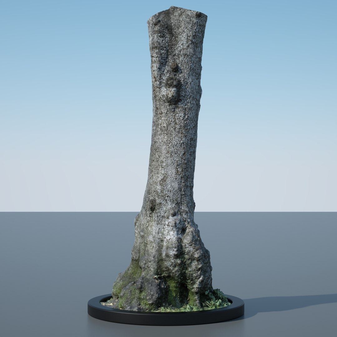 Tree Trunk - 3D Model - TurboSquid 1459589