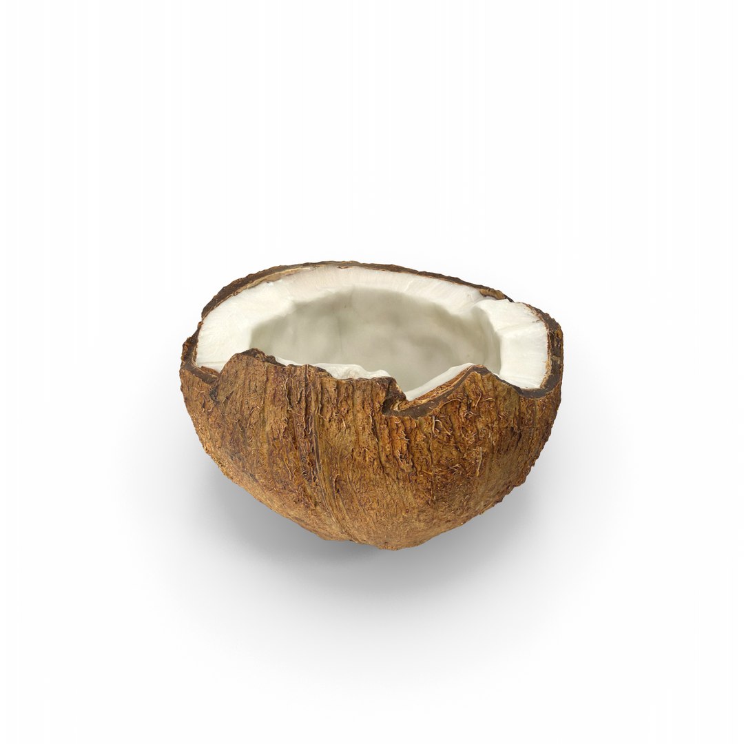 Coconut Half 3D Model - TurboSquid 2338428