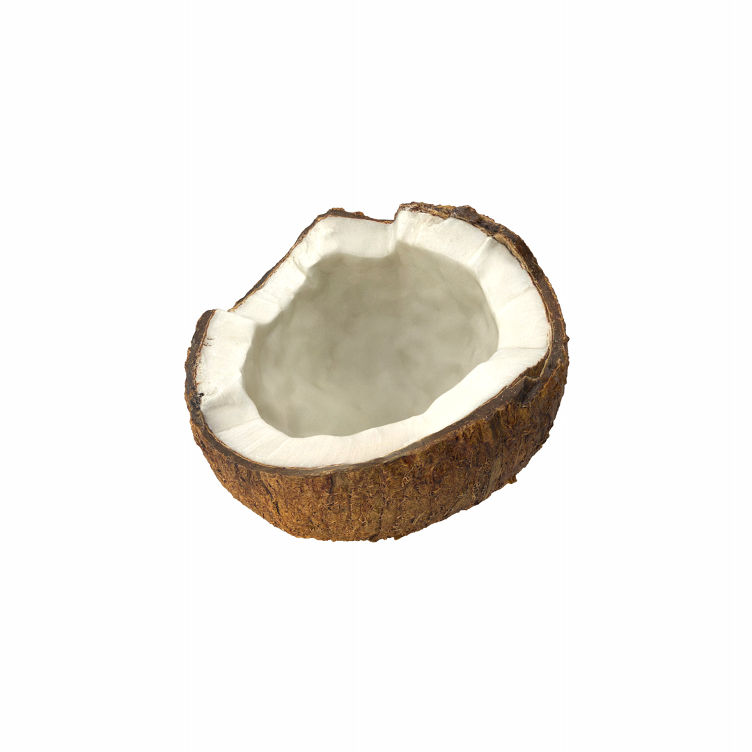 Coconut Half 3D Model - TurboSquid 2338428