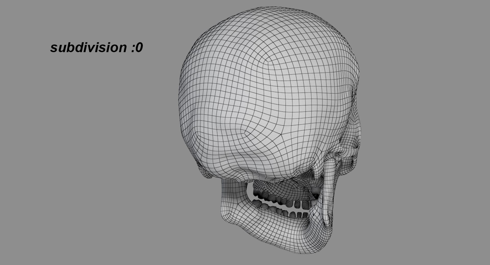 3D Model Realistic Skull - TurboSquid 1291994