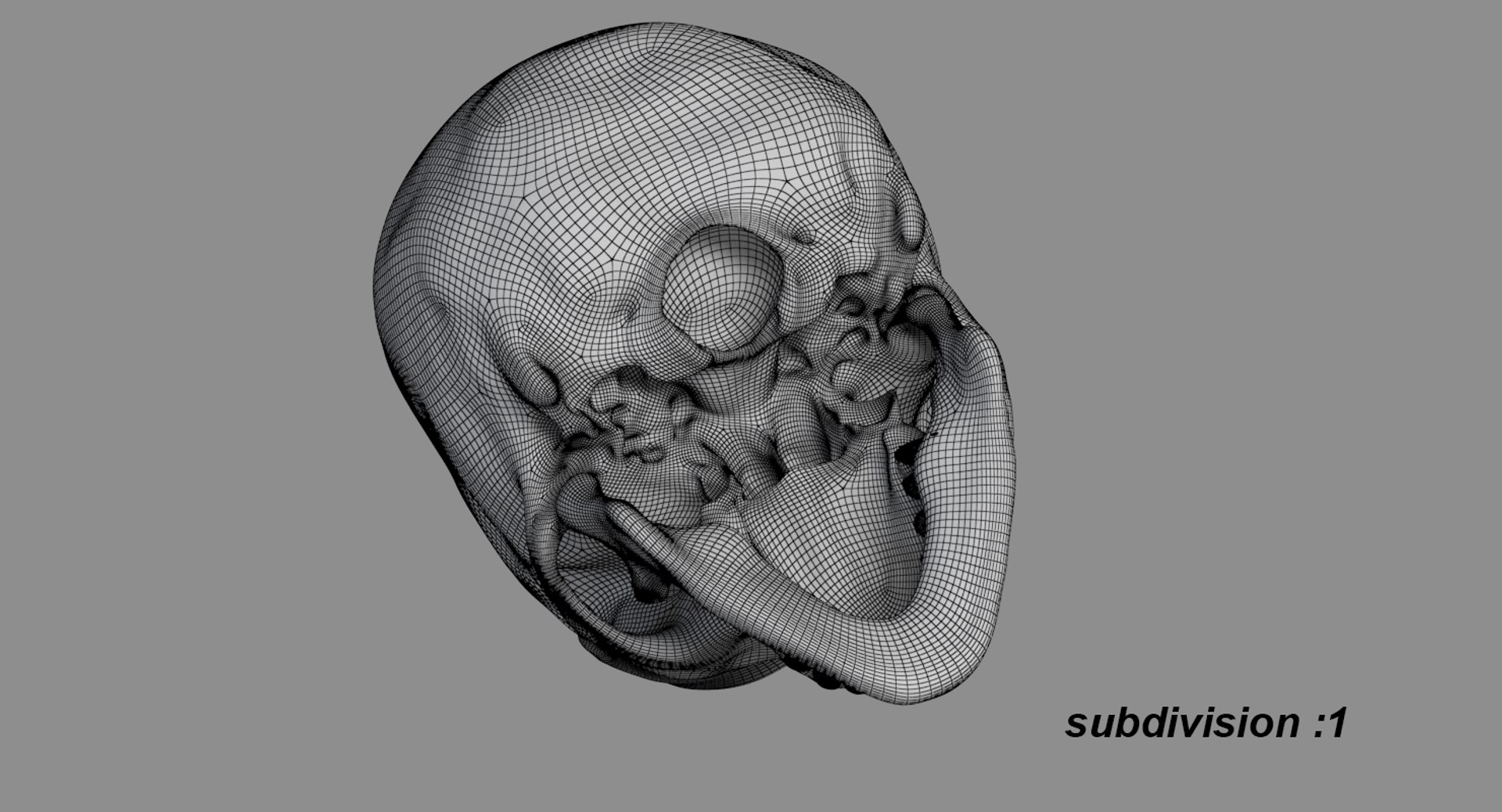 3D model realistic skull - TurboSquid 1291994