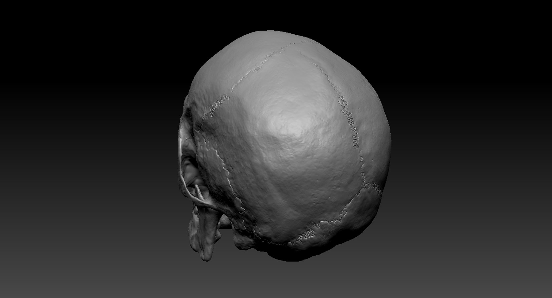 3D model realistic skull - TurboSquid 1291994