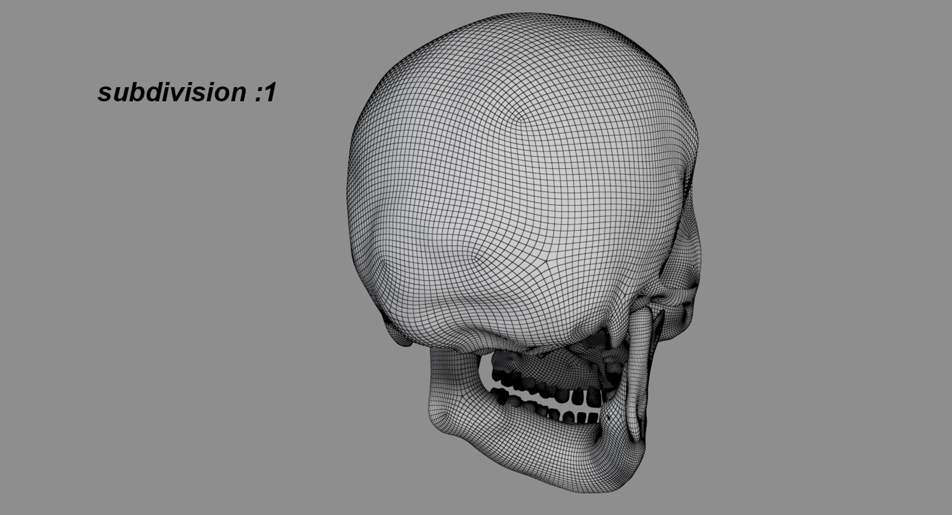 3D model realistic skull - TurboSquid 1291994
