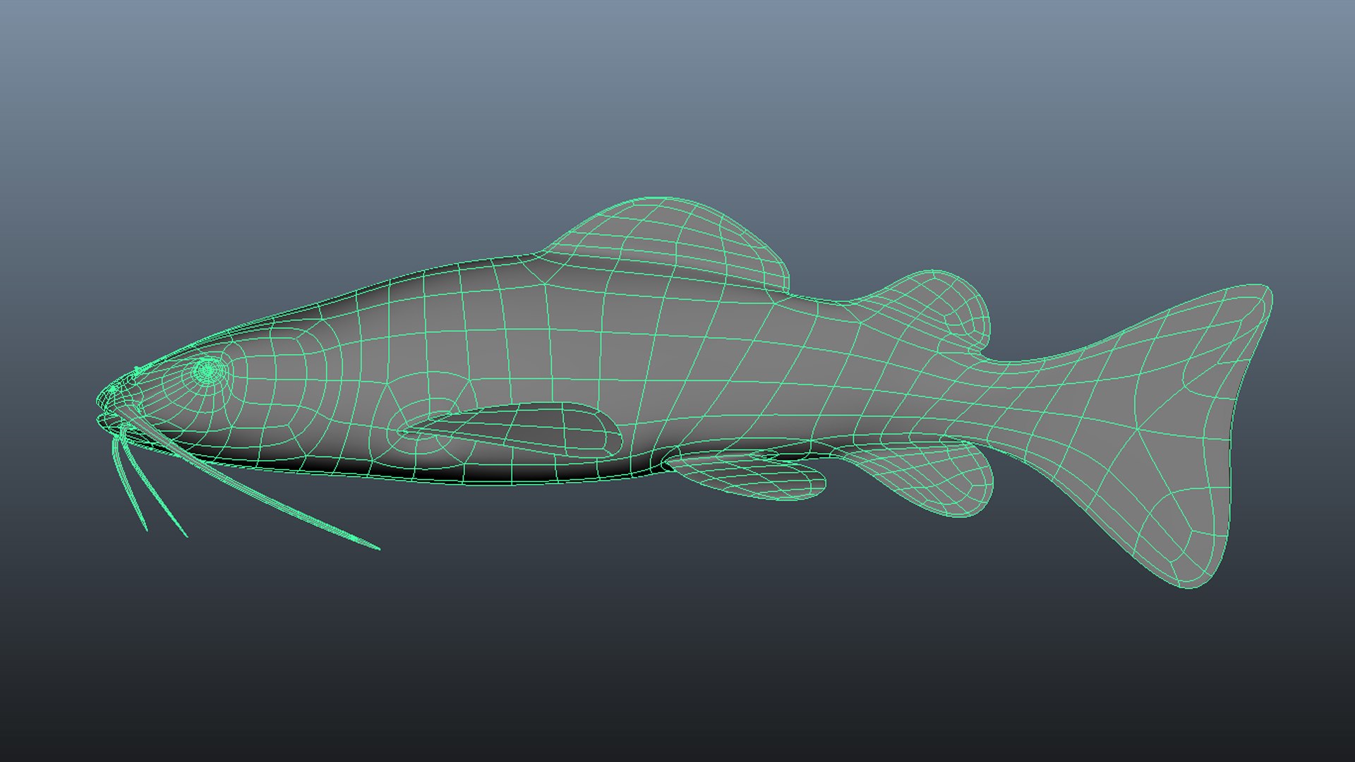 3D Red tailed catfish5 model - TurboSquid 1771825