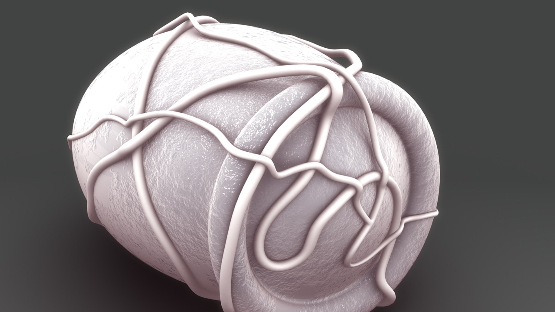 haplosporidium 3d ma