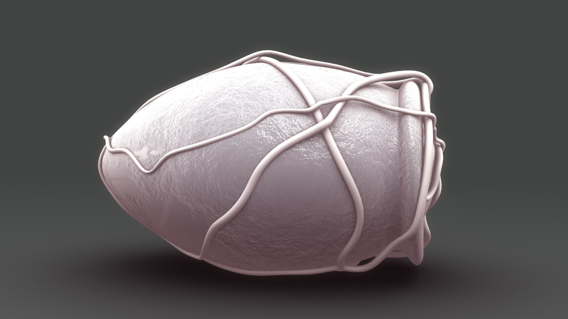 haplosporidium 3d ma