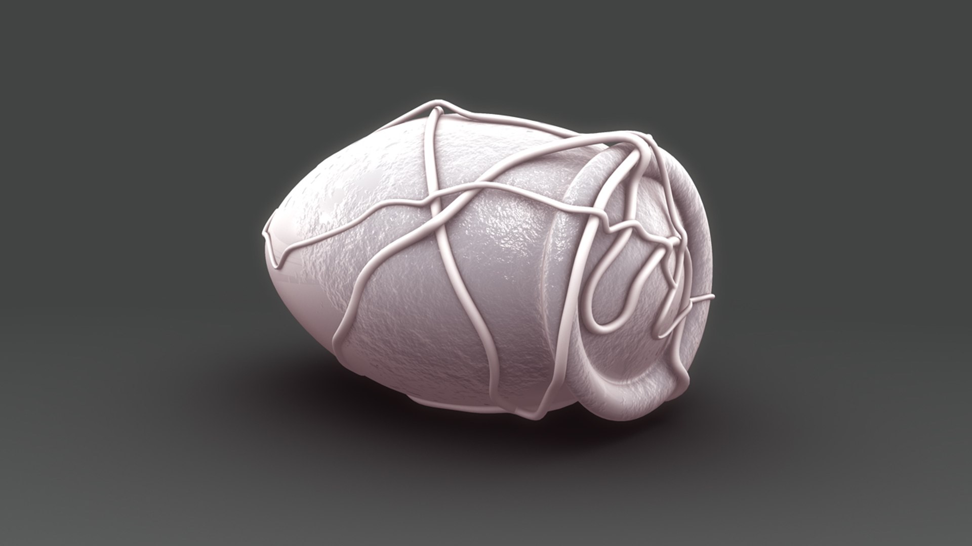 haplosporidium 3d ma