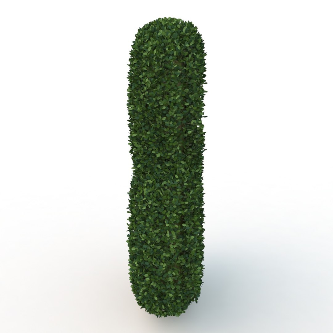 3D 3 hedge - TurboSquid 1453113