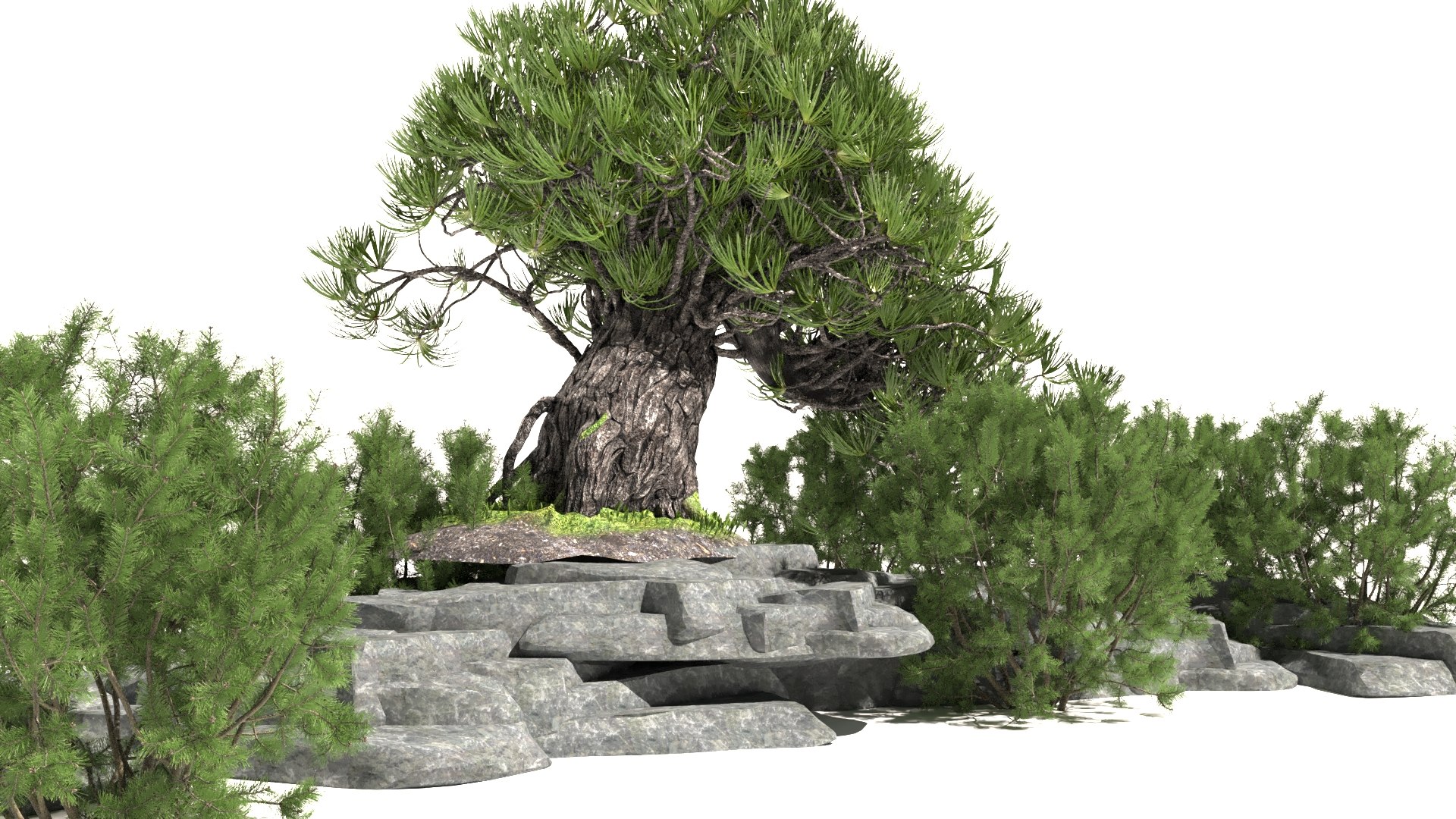 3D Japanese Tree - TurboSquid 2171488