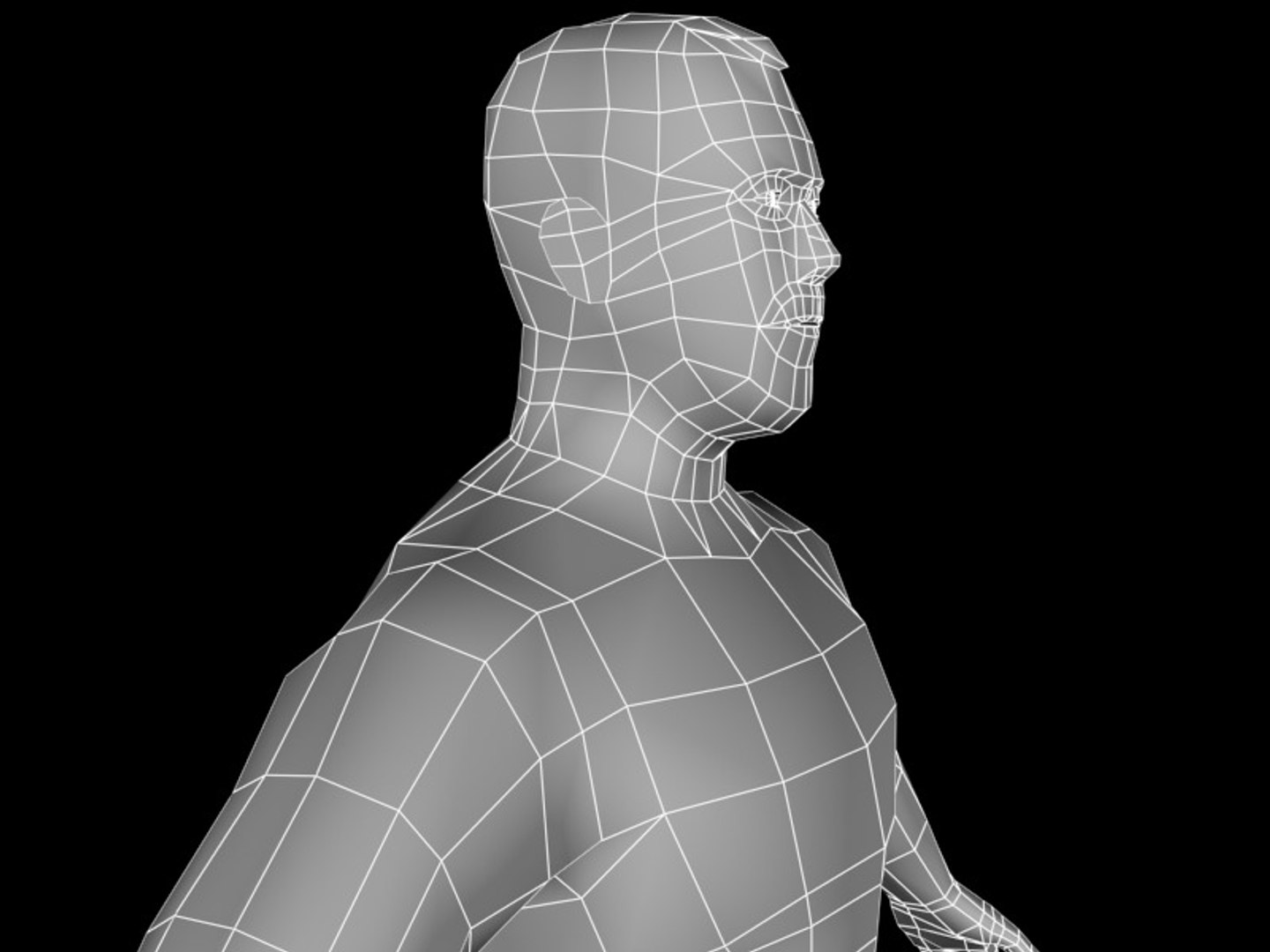 3d Model Character Base