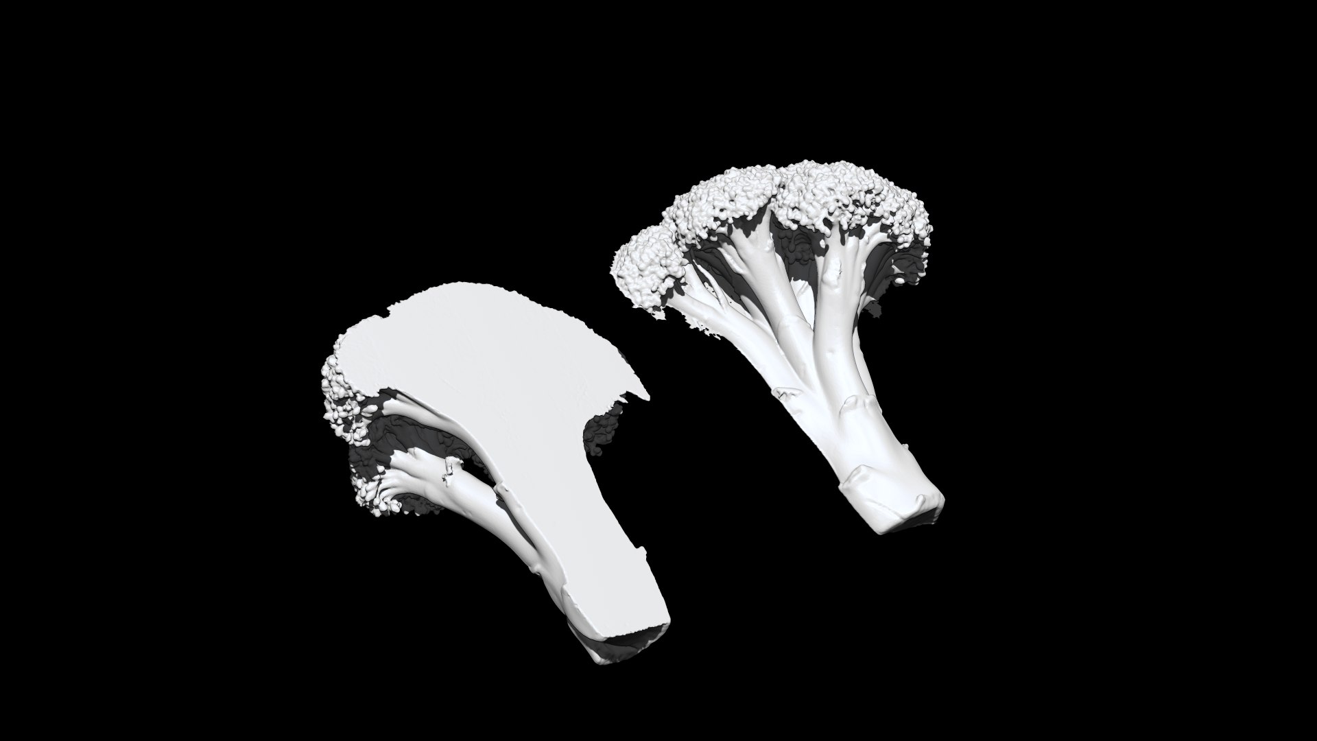 Broccoli cut 3D CT scan model 3 decimate 50percent 3D model ...