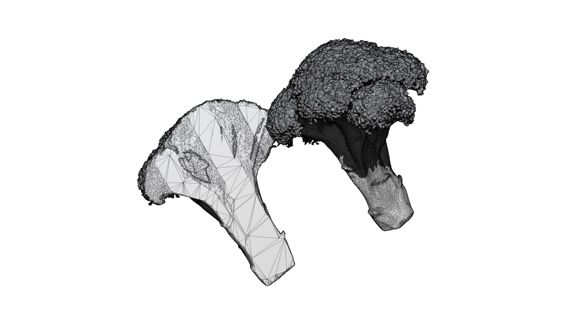 Broccoli cut 3D CT scan model 3 decimate 50percent 3D model ...