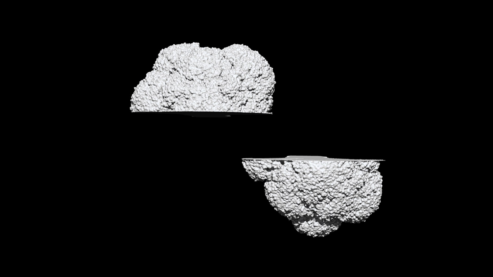 Broccoli cut 3D CT scan model 3 decimate 50percent 3D model ...