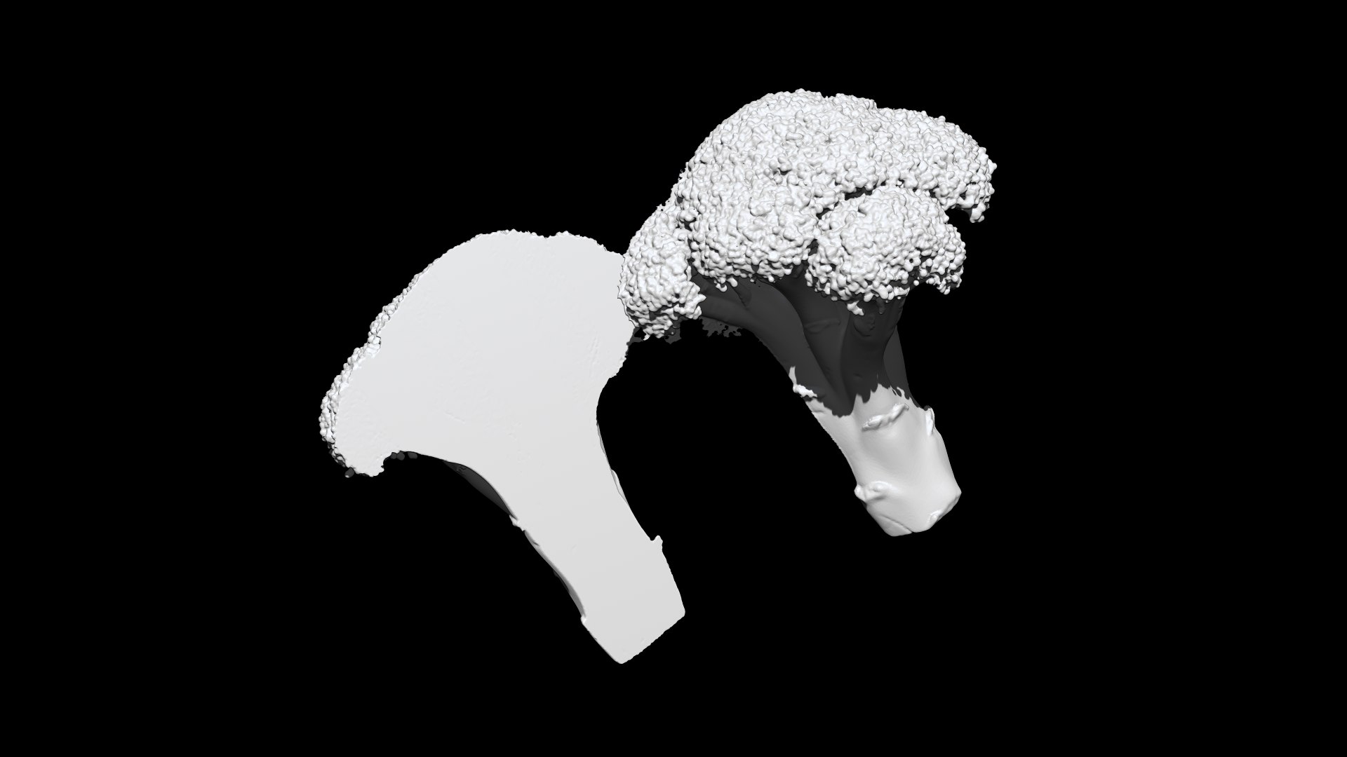 Broccoli cut 3D CT scan model 3 decimate 50percent 3D model ...