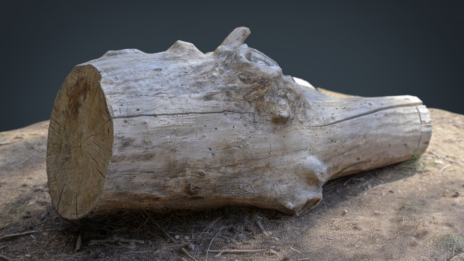 3D model realistic dead trunk - TurboSquid 1161192
