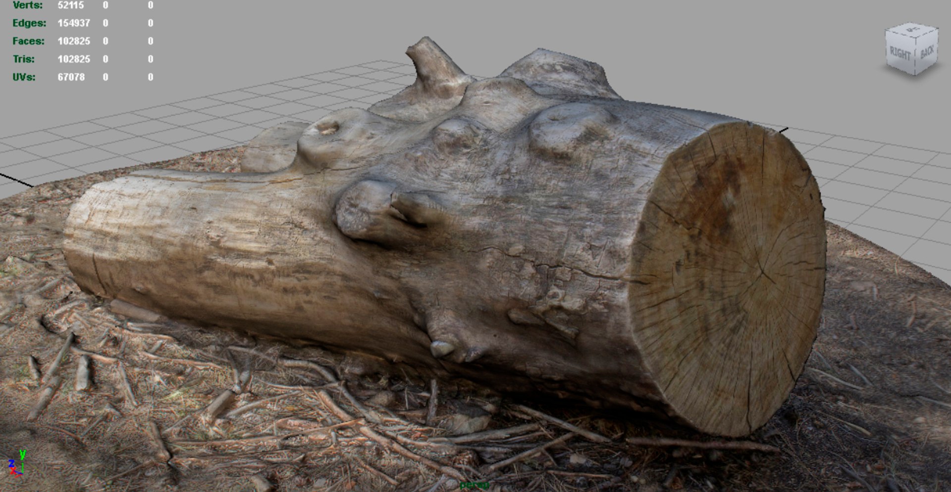 3D model realistic dead trunk - TurboSquid 1161192