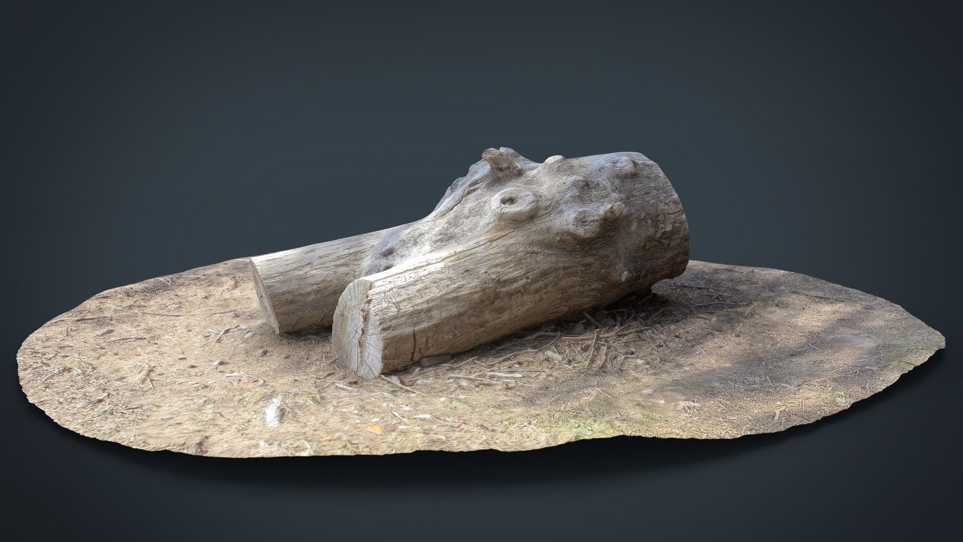 3D model realistic dead trunk - TurboSquid 1161192