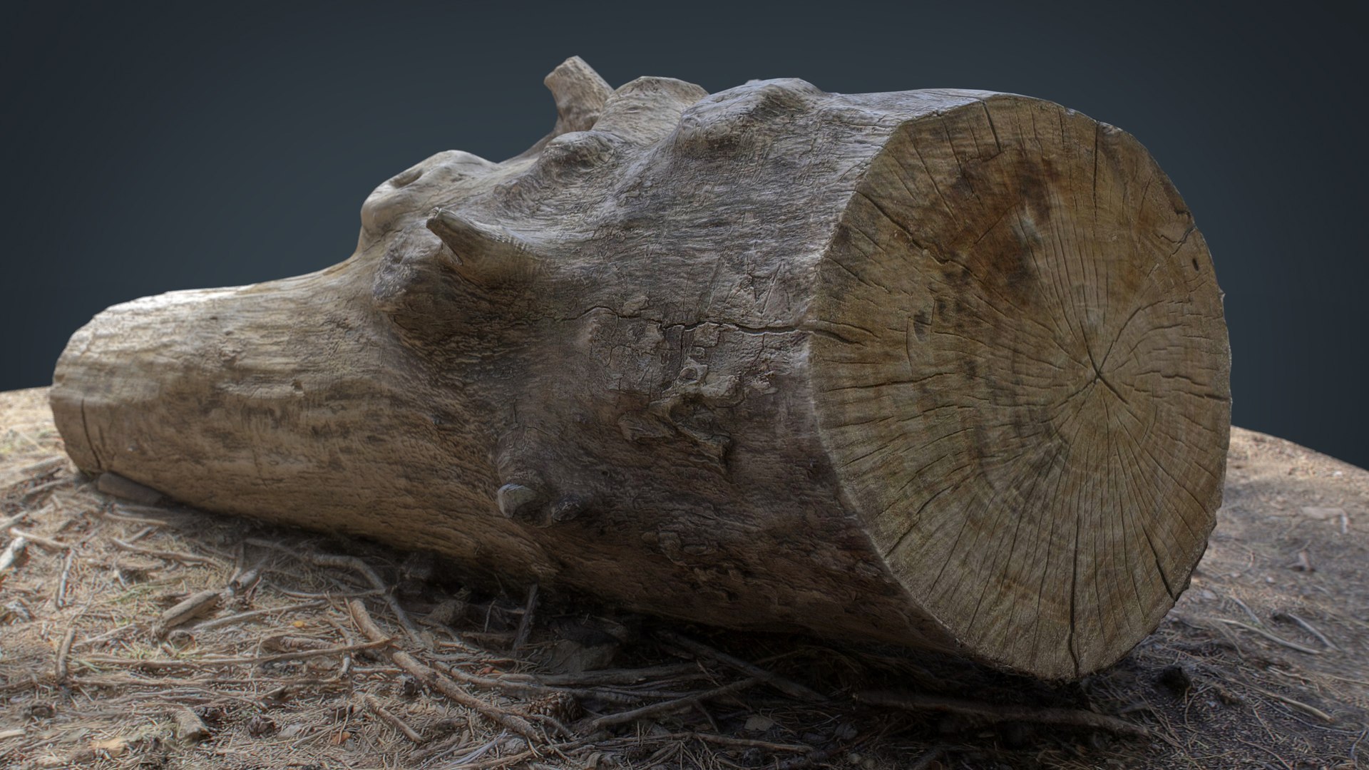 3D model realistic dead trunk - TurboSquid 1161192