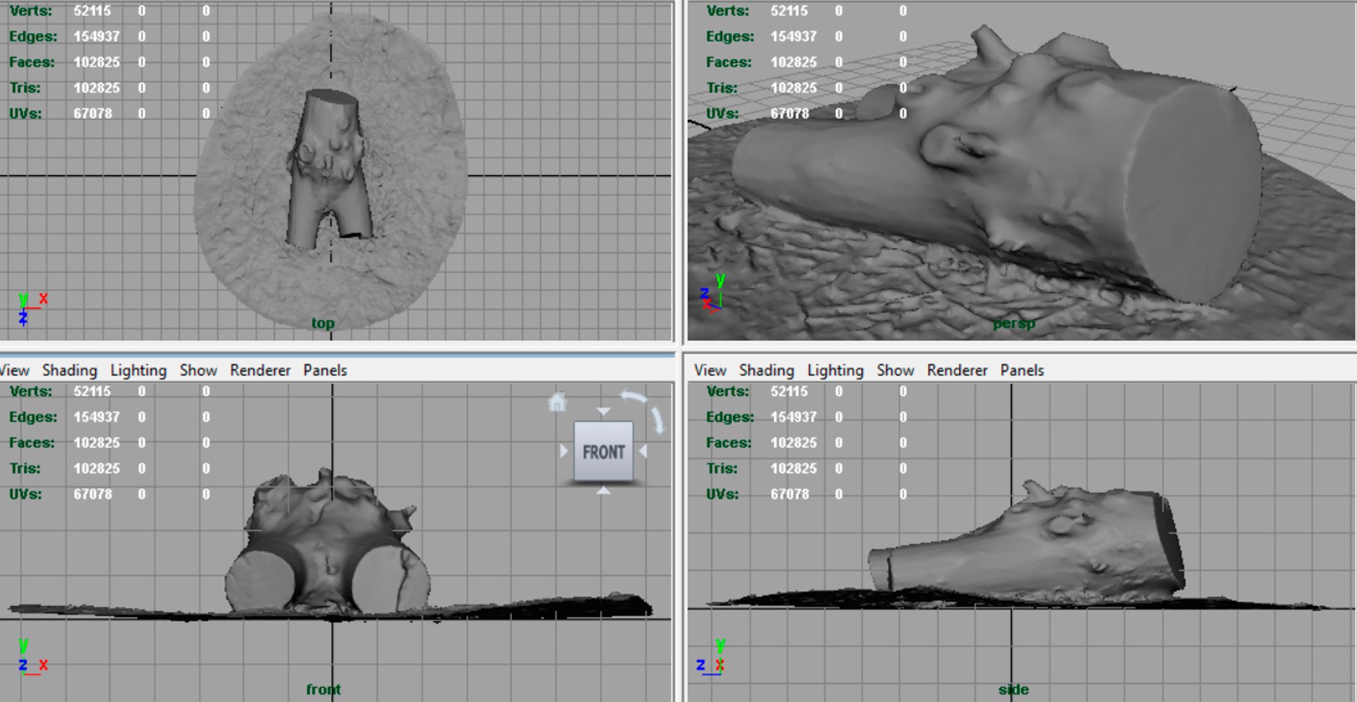 3d Model Realistic Dead Trunk Turbosquid 1161192